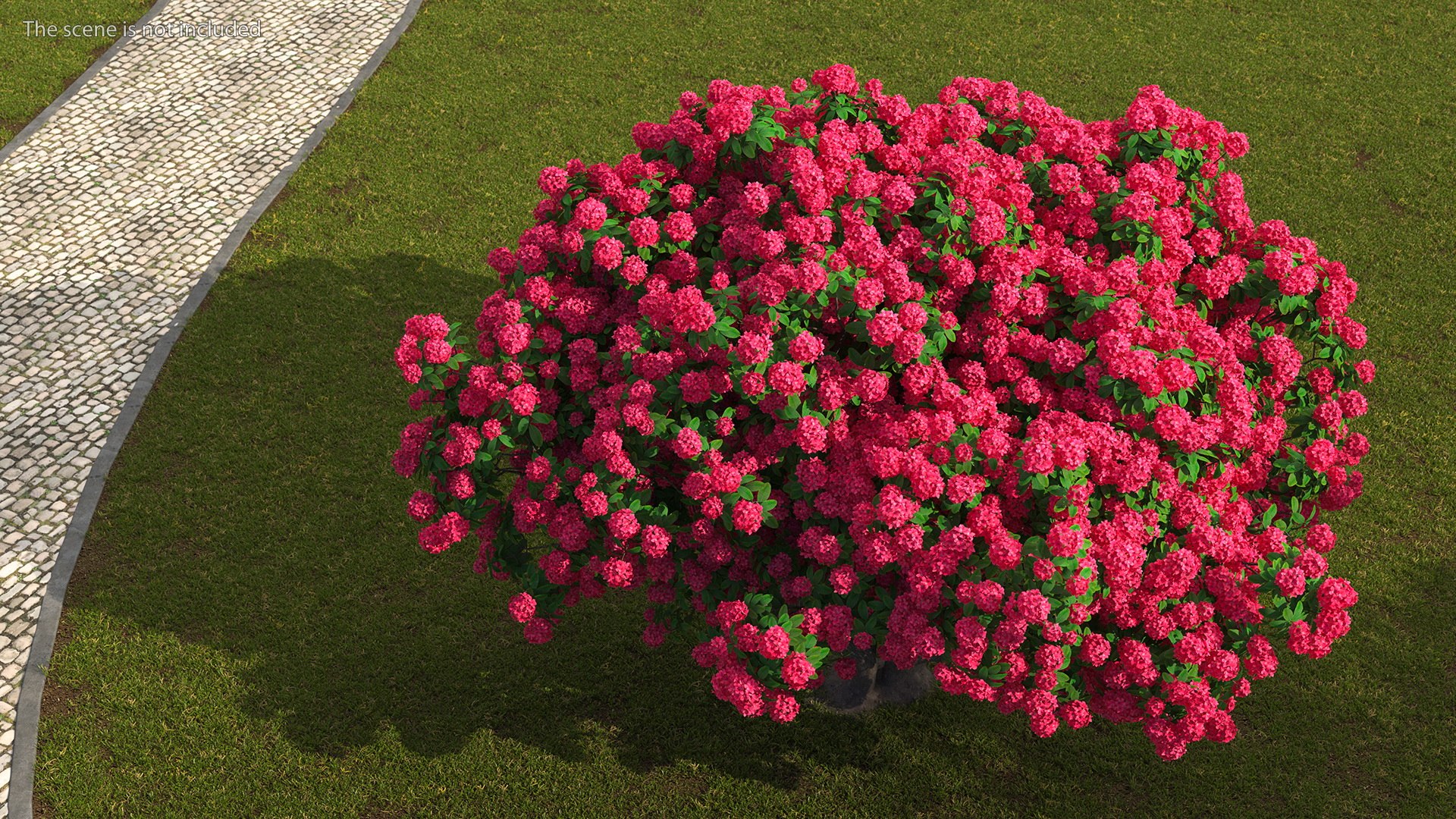 3D Rhododendron Red Tree - TurboSquid 1729552