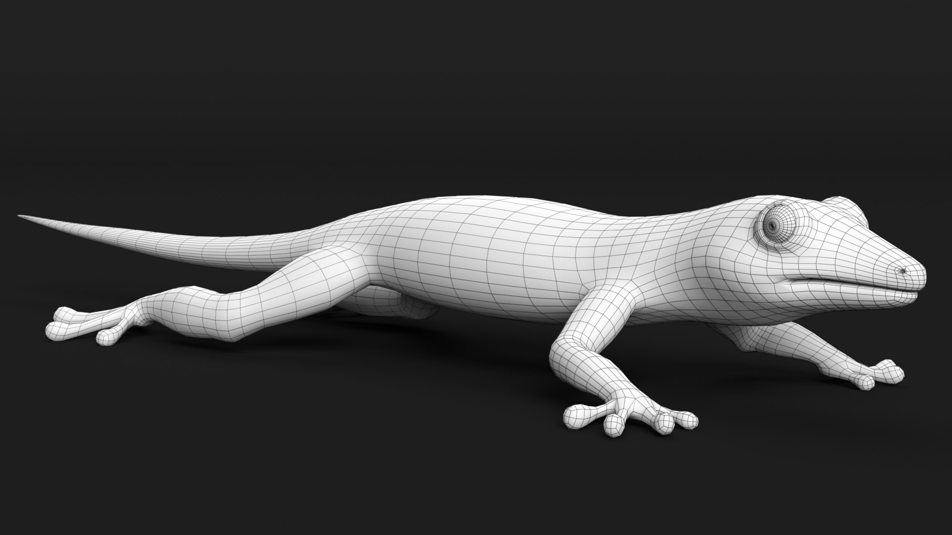 3D Lizard Collection - TurboSquid 2229553