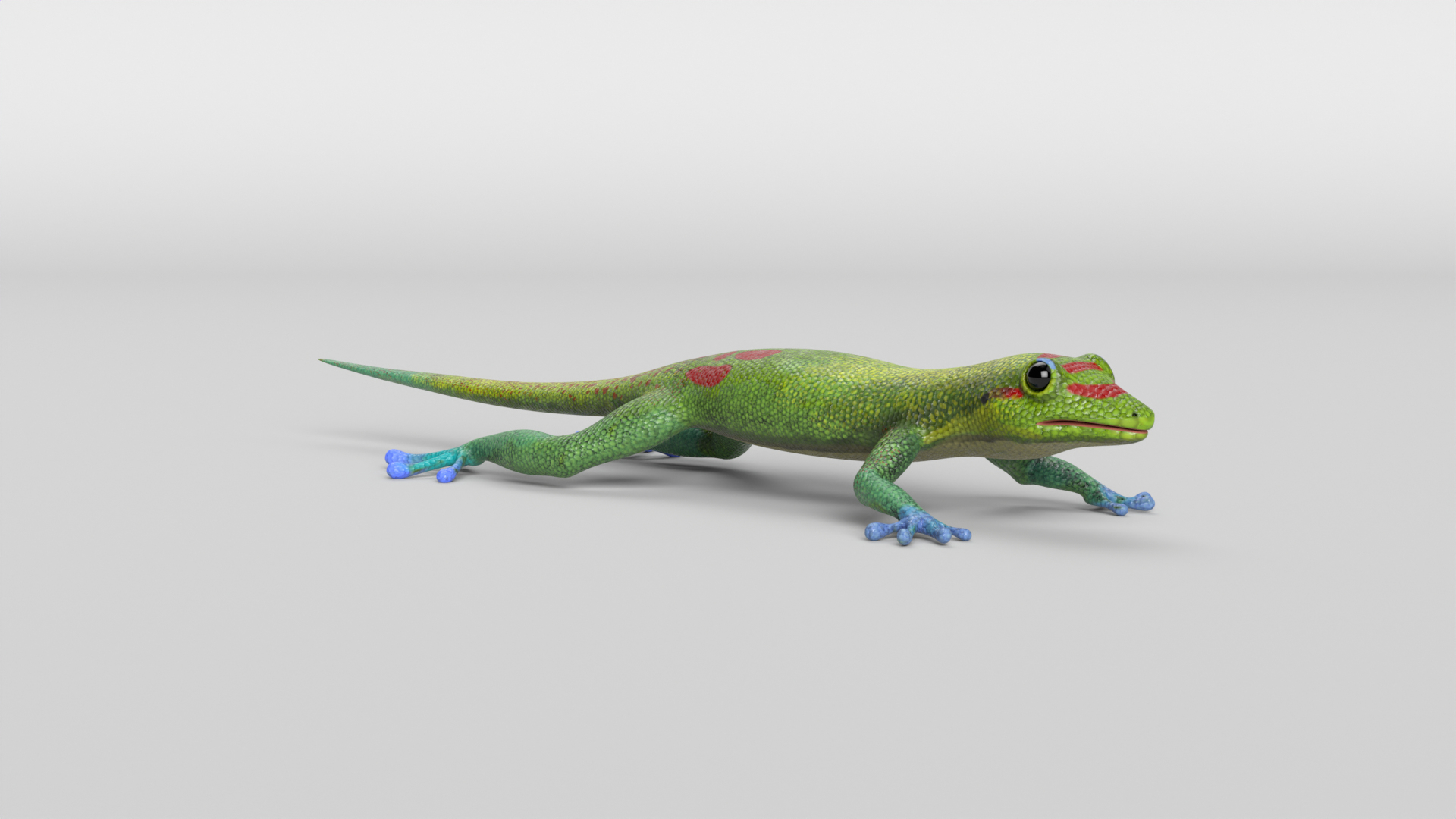 3D Lizard Collection - TurboSquid 2229553