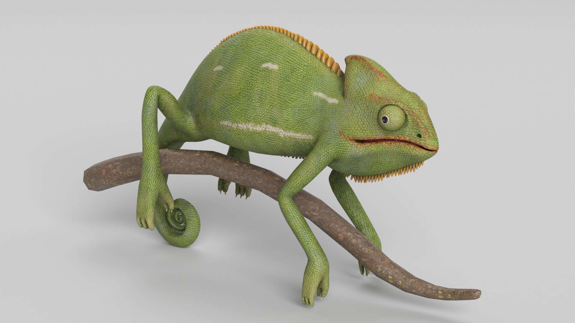 3D Lizard Collection - TurboSquid 2229553