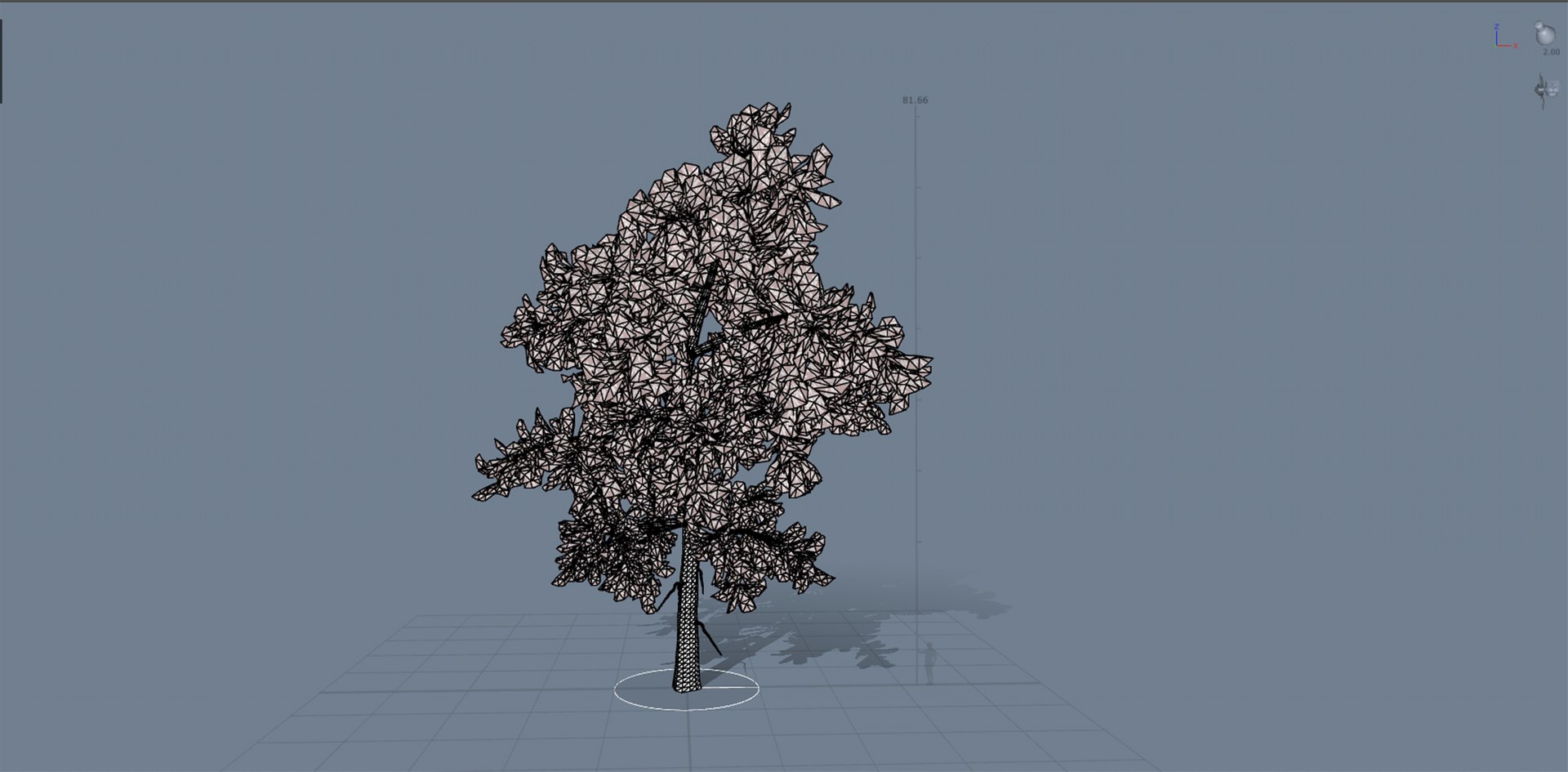 Low Poly Pine Tree Model - TurboSquid 2208751