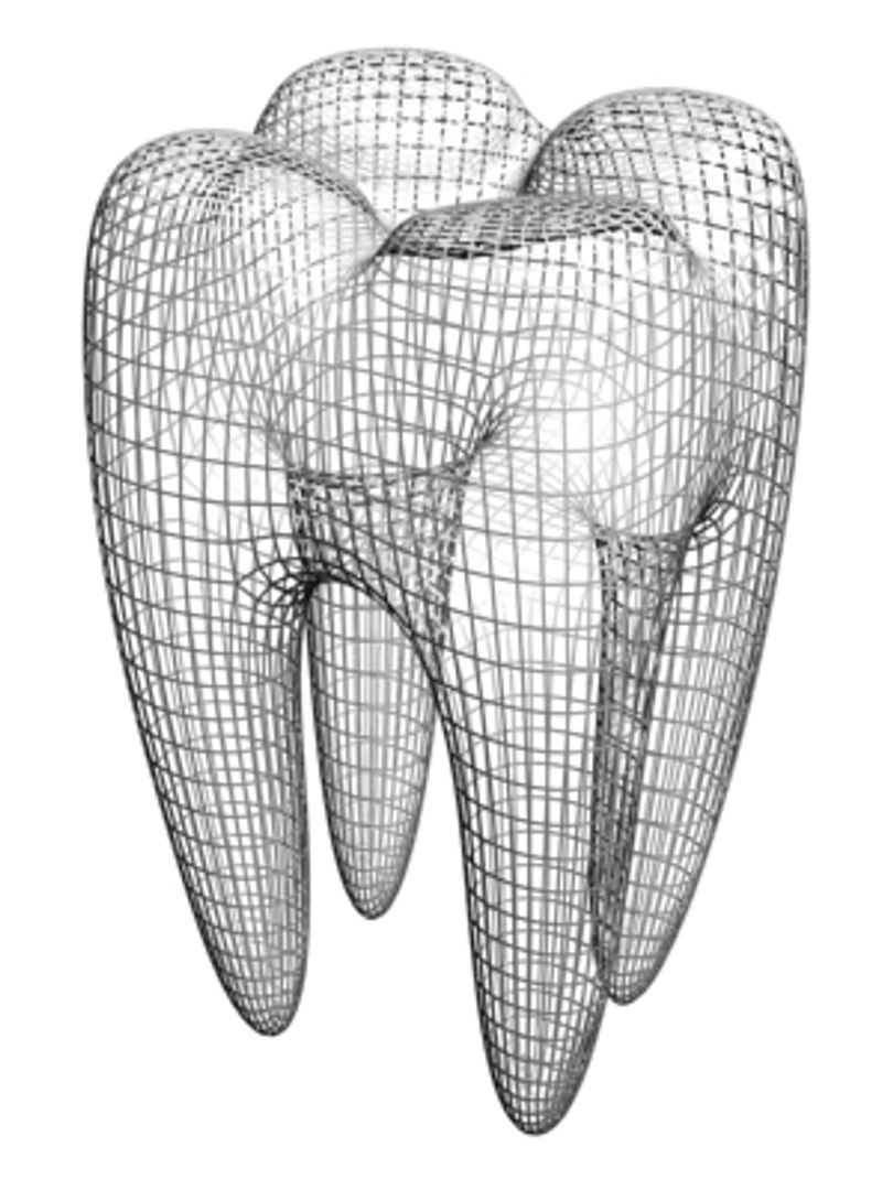 tooth 3d model