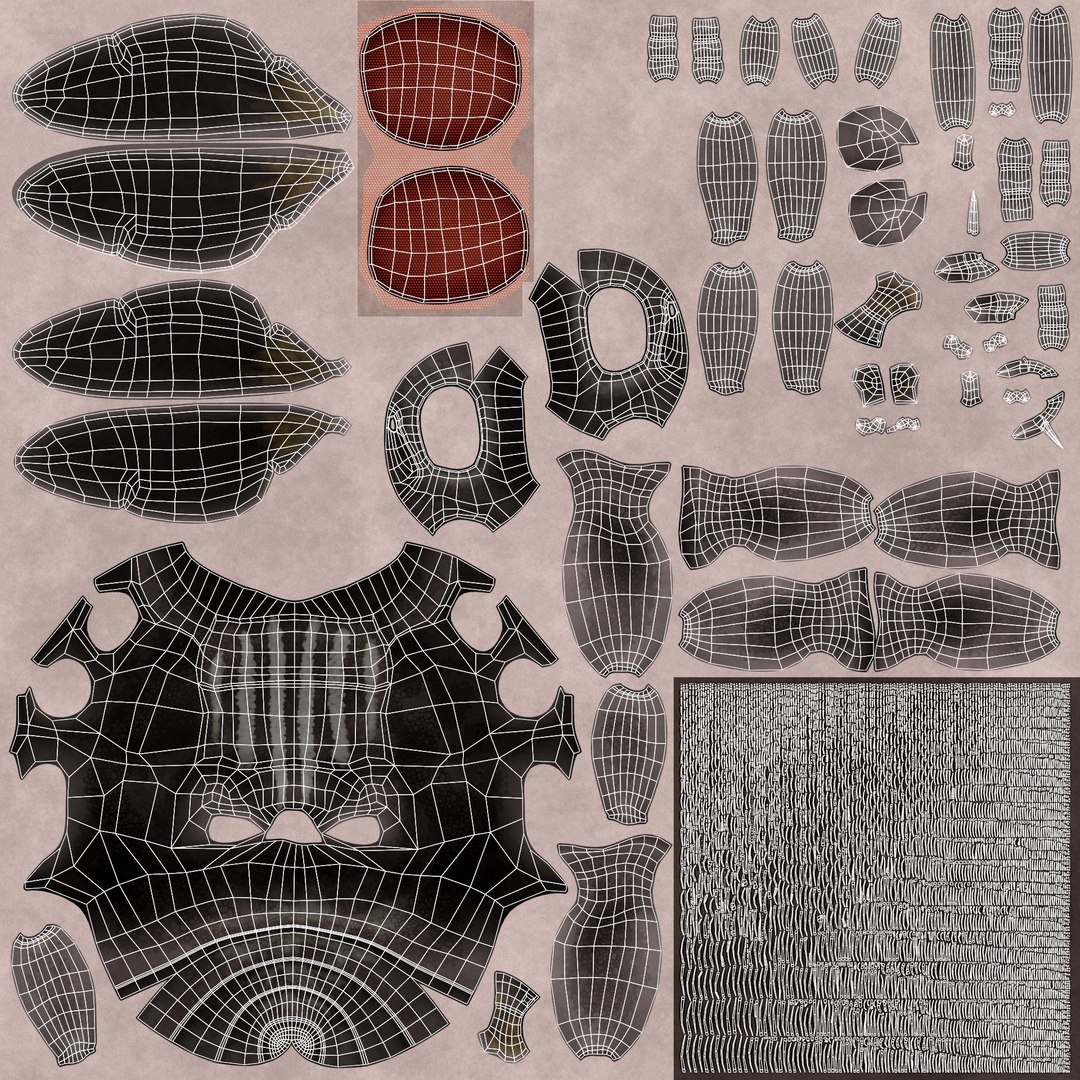 Common Fly - Animated Flying Model - TurboSquid 2228154