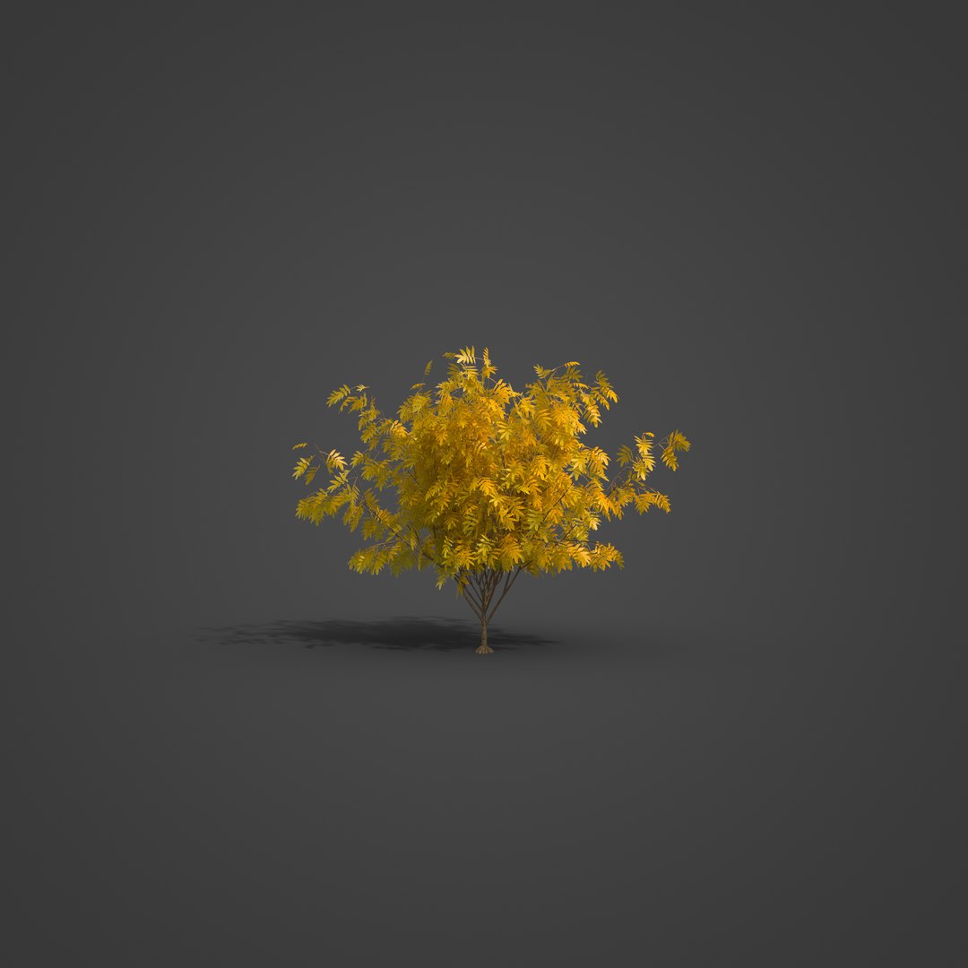 2021 PBR Staghorn Sumac Collection - Rhus Typhina 3D Model - TurboSquid ...