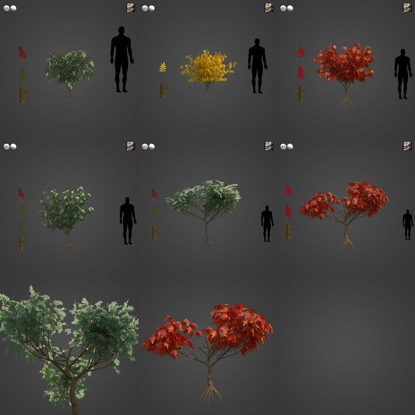 3d model staghorn sumac tree rhus
