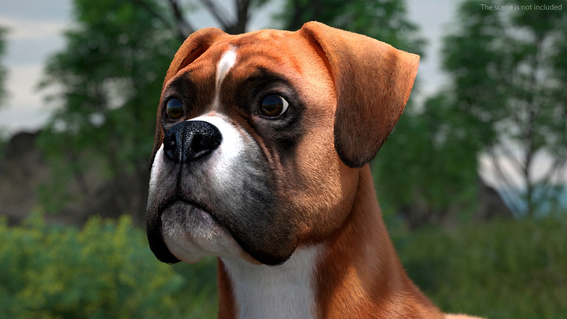 3D Boxer Dog Fur Rigged - TurboSquid 2250731