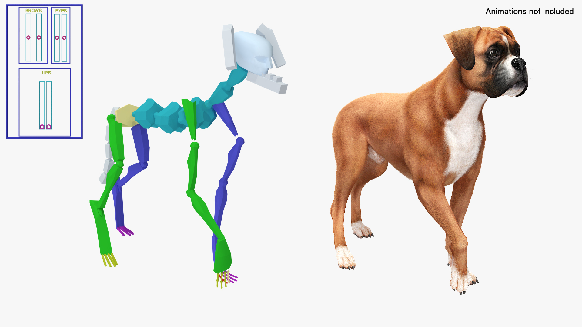 3D Boxer Dog Fur Rigged - TurboSquid 2250731