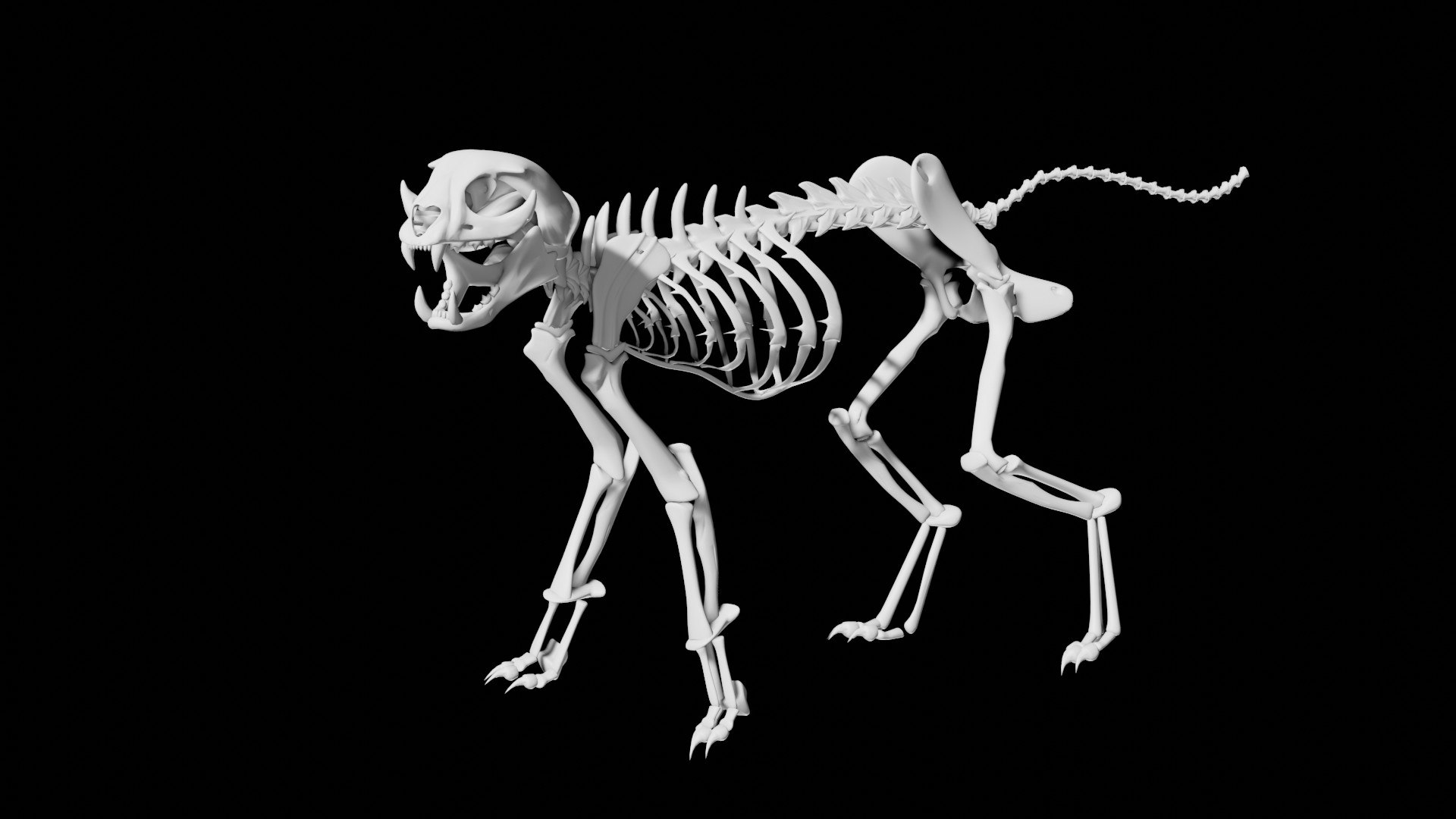 Rigged Cat Skeleton Model - TurboSquid 1826448