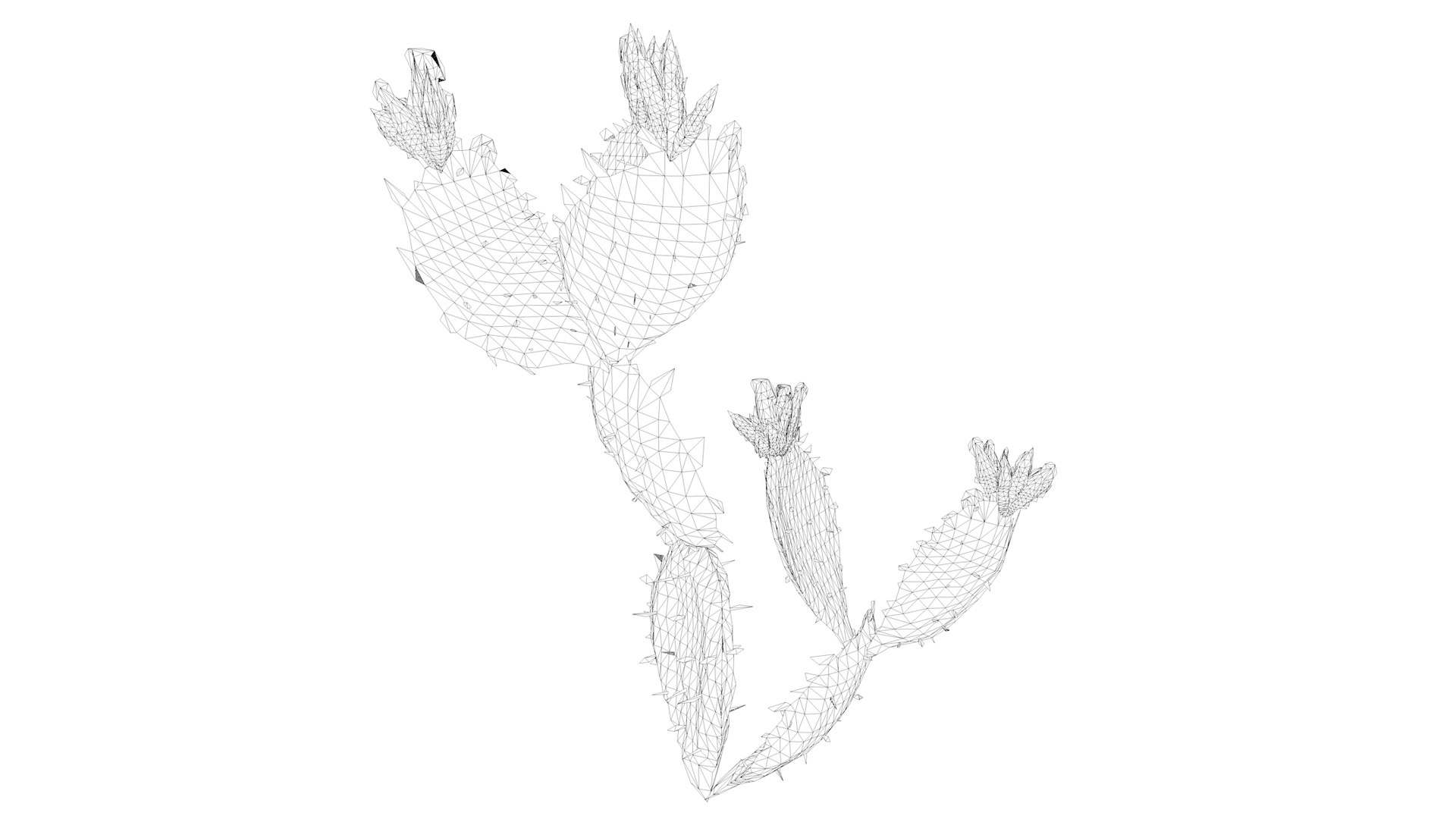3D Prickly Pear Cactus Plant - 05 - - TurboSquid 2372010