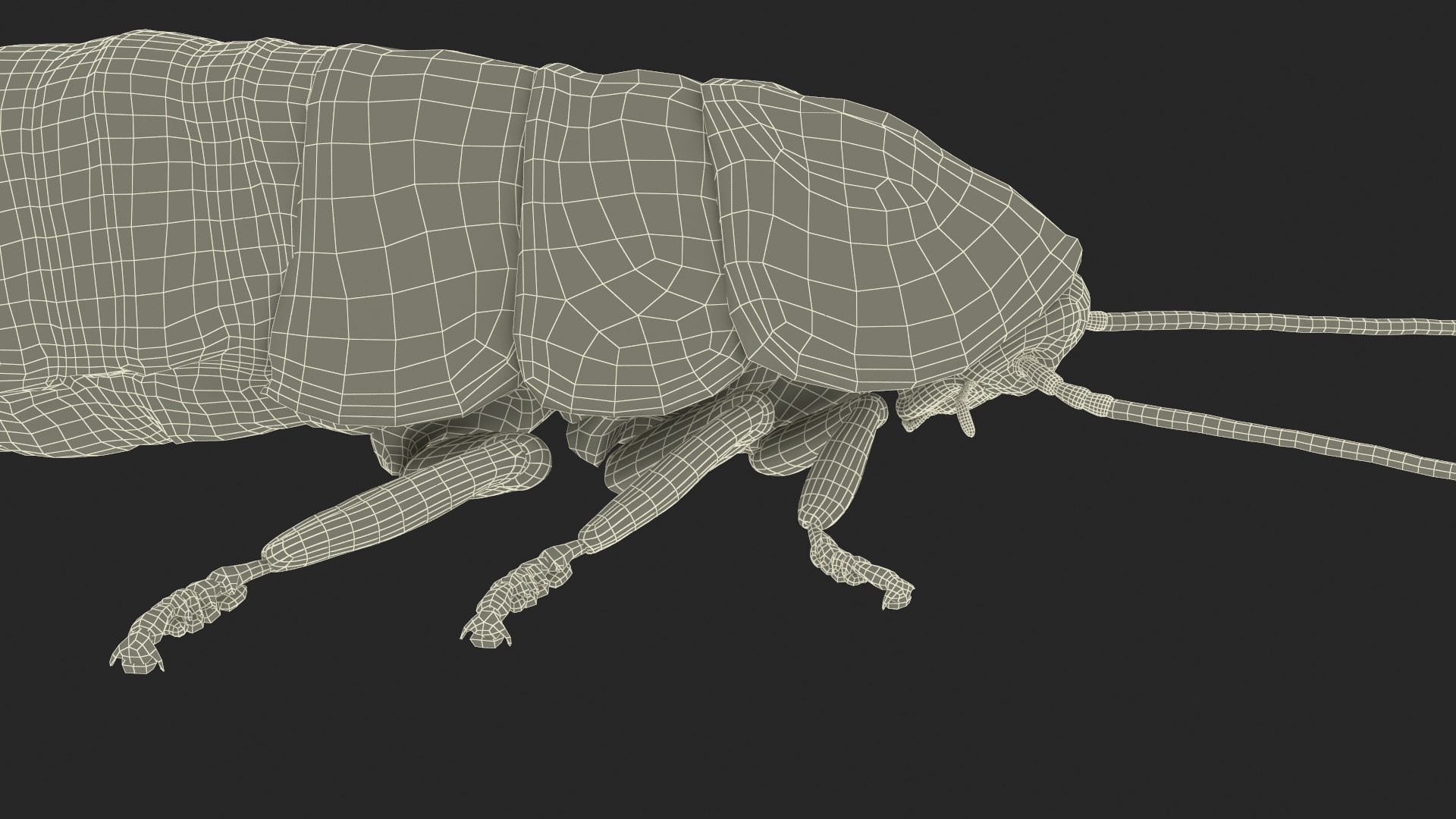 Wood Feeding Cockroach Rigged 3D - TurboSquid 2157039