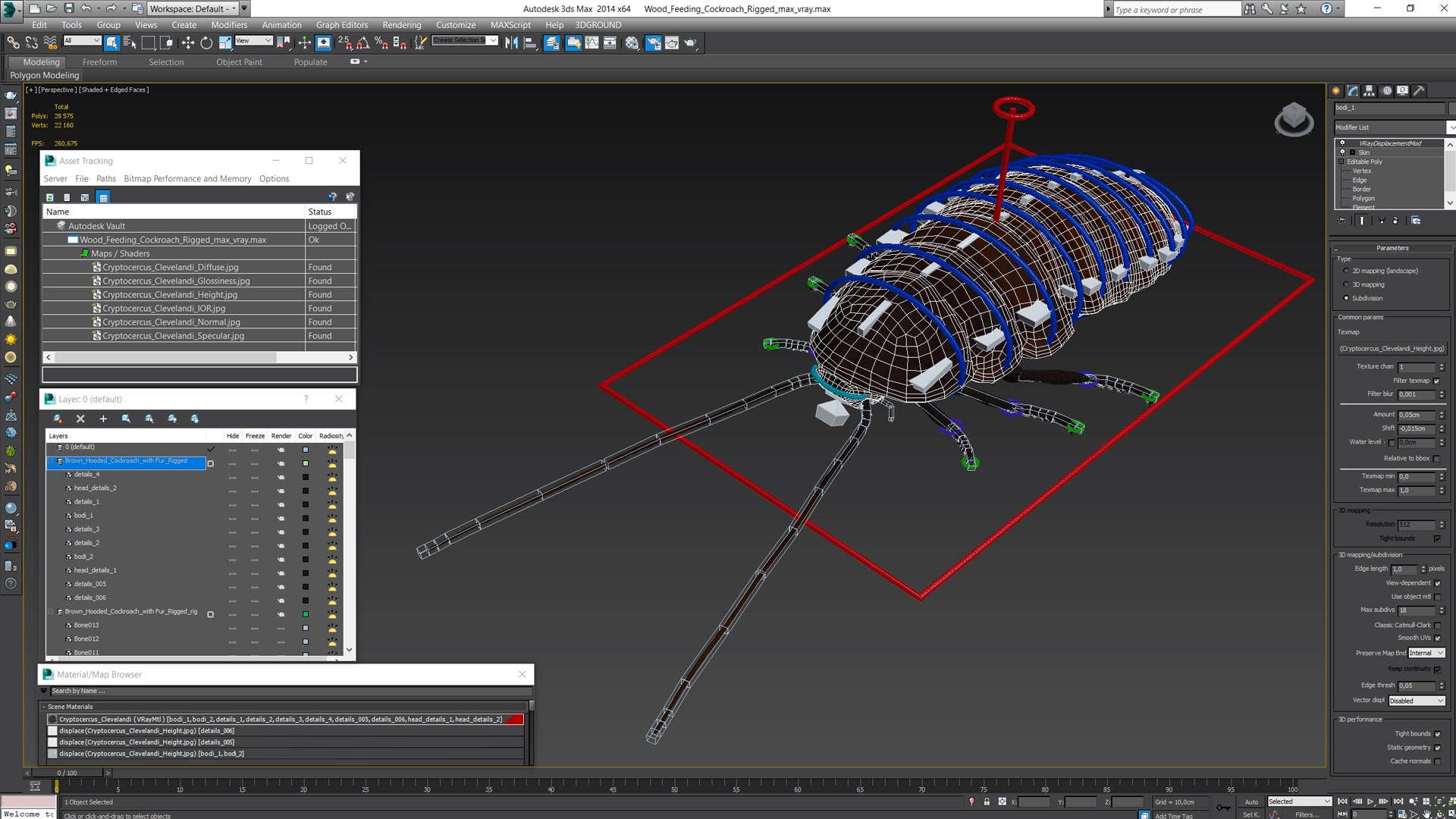 Wood Feeding Cockroach Rigged 3D - TurboSquid 2157039