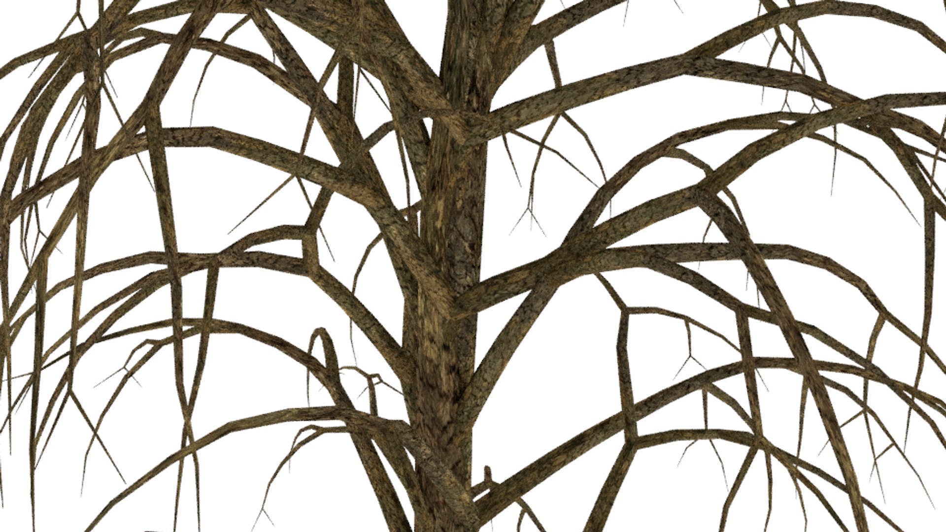 Willow Tree Model - TurboSquid 1245141