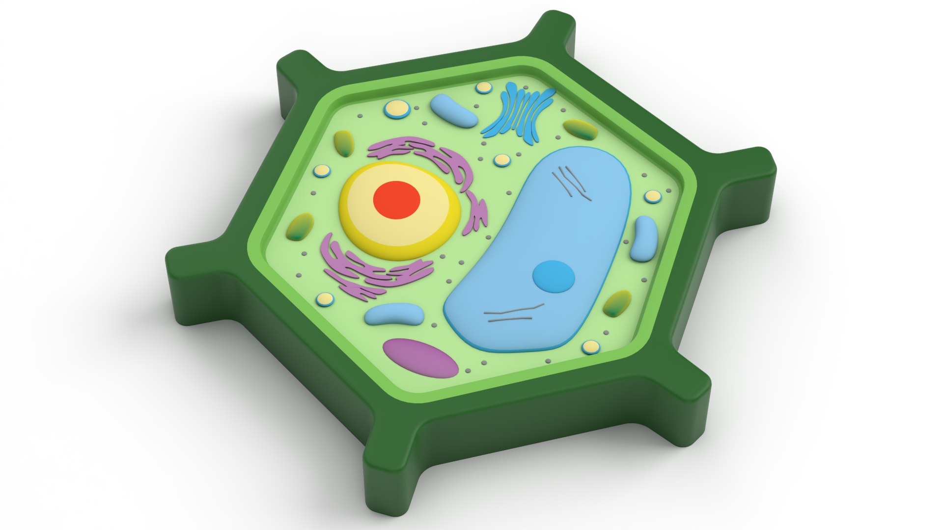 Plant Cell V5 3D - TurboSquid 2430917