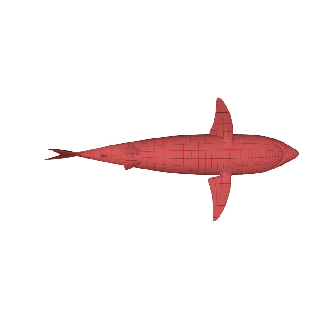 3d base mesh shark model