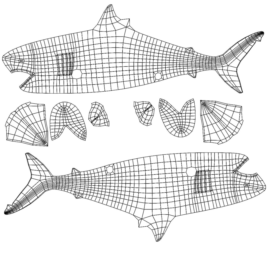 3d base mesh shark model