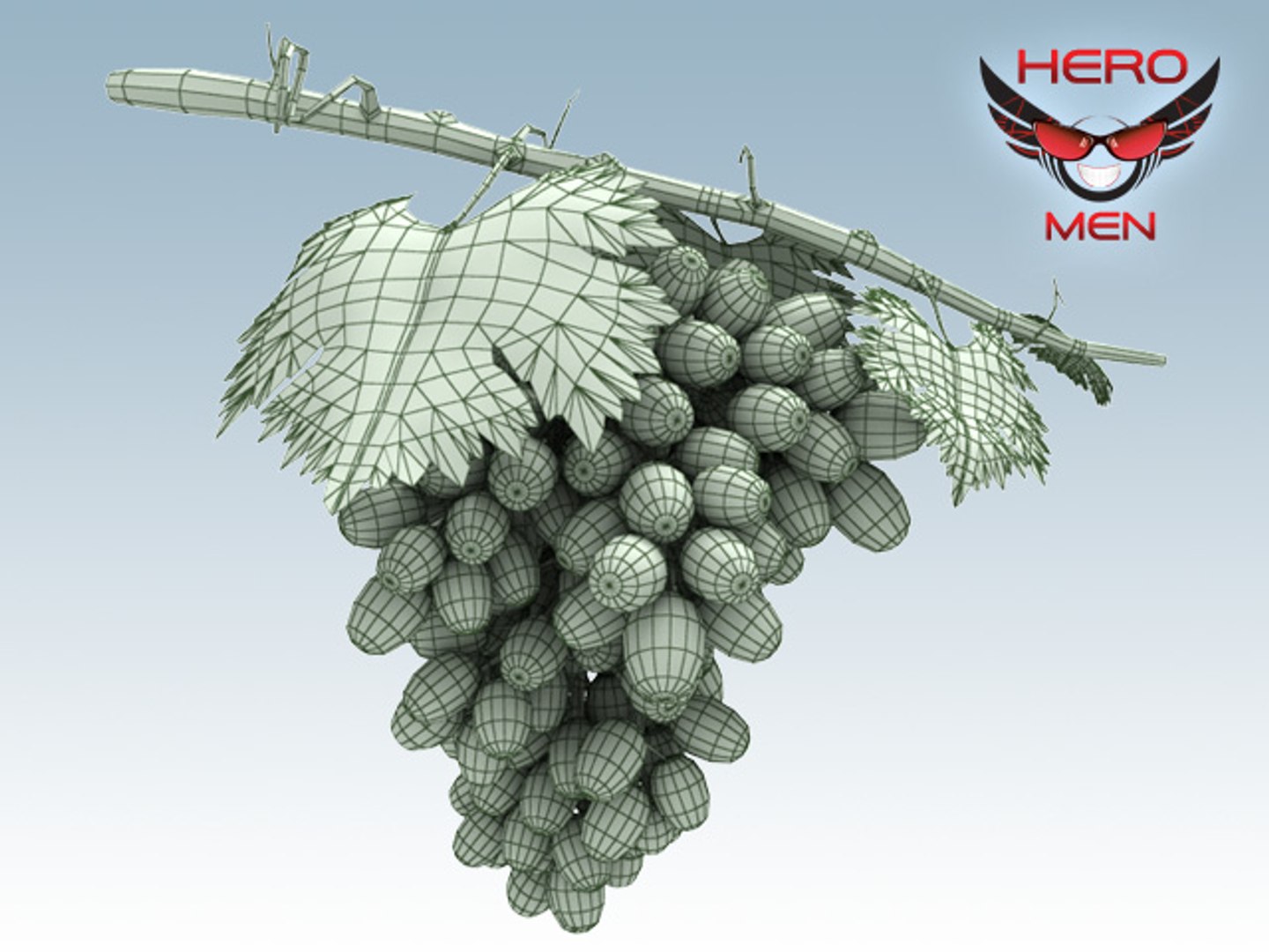 3d Model Grape Vine