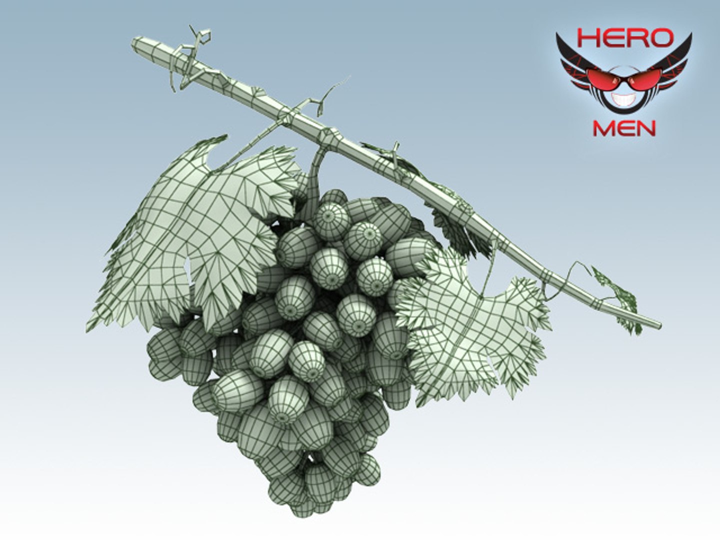 3d Model Grape Vine