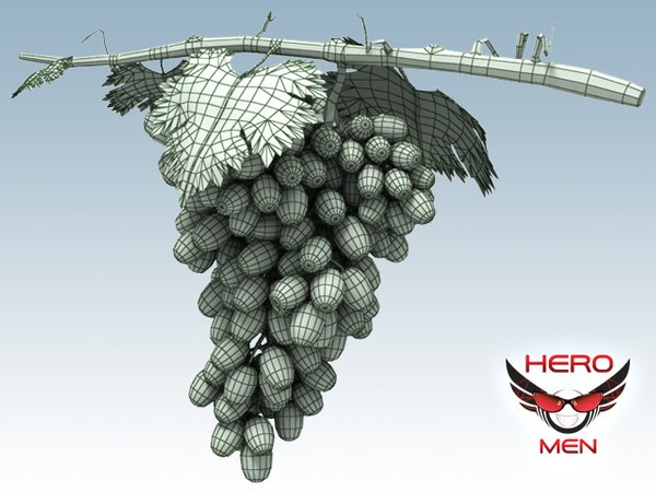 3d model grape vine