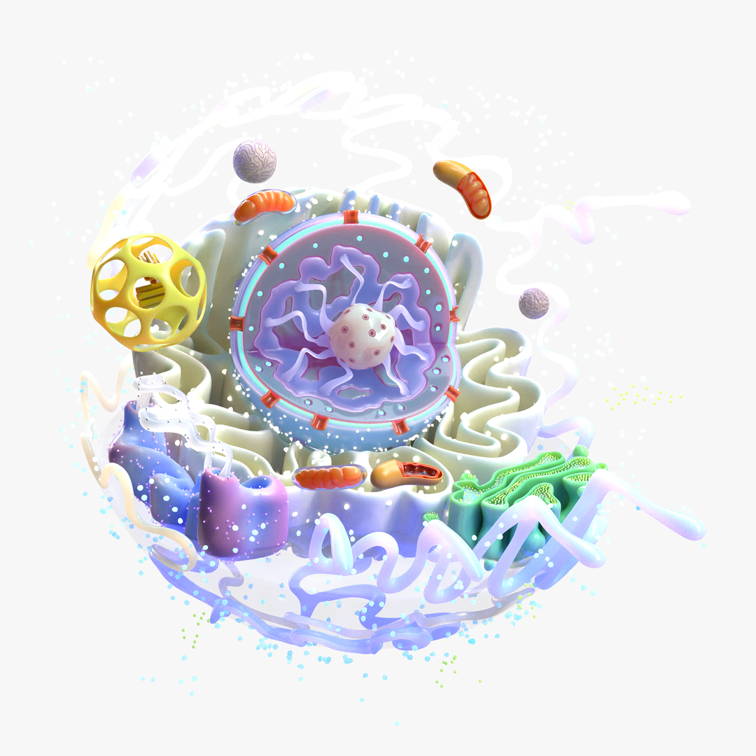 Celula animal Modelo 3D - TurboSquid 1844693