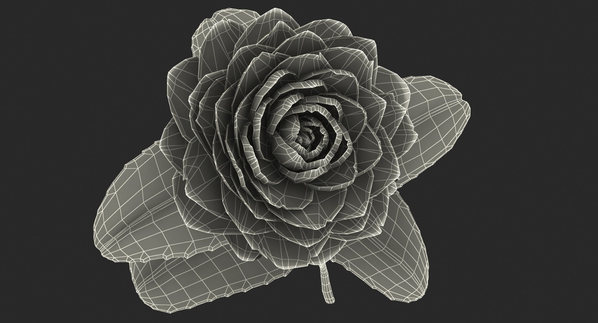 3D Blooming Flower Camelia - TurboSquid 1284745