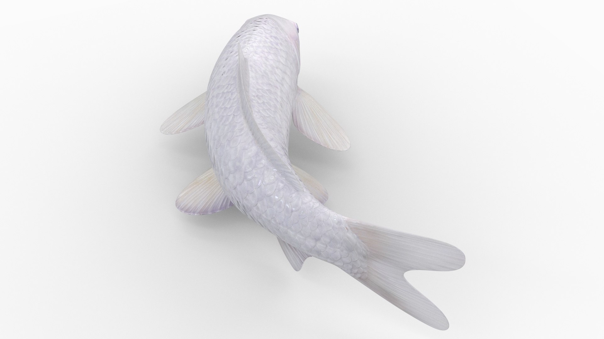 3D Koi Fish 4 Animated - TurboSquid 1932924
