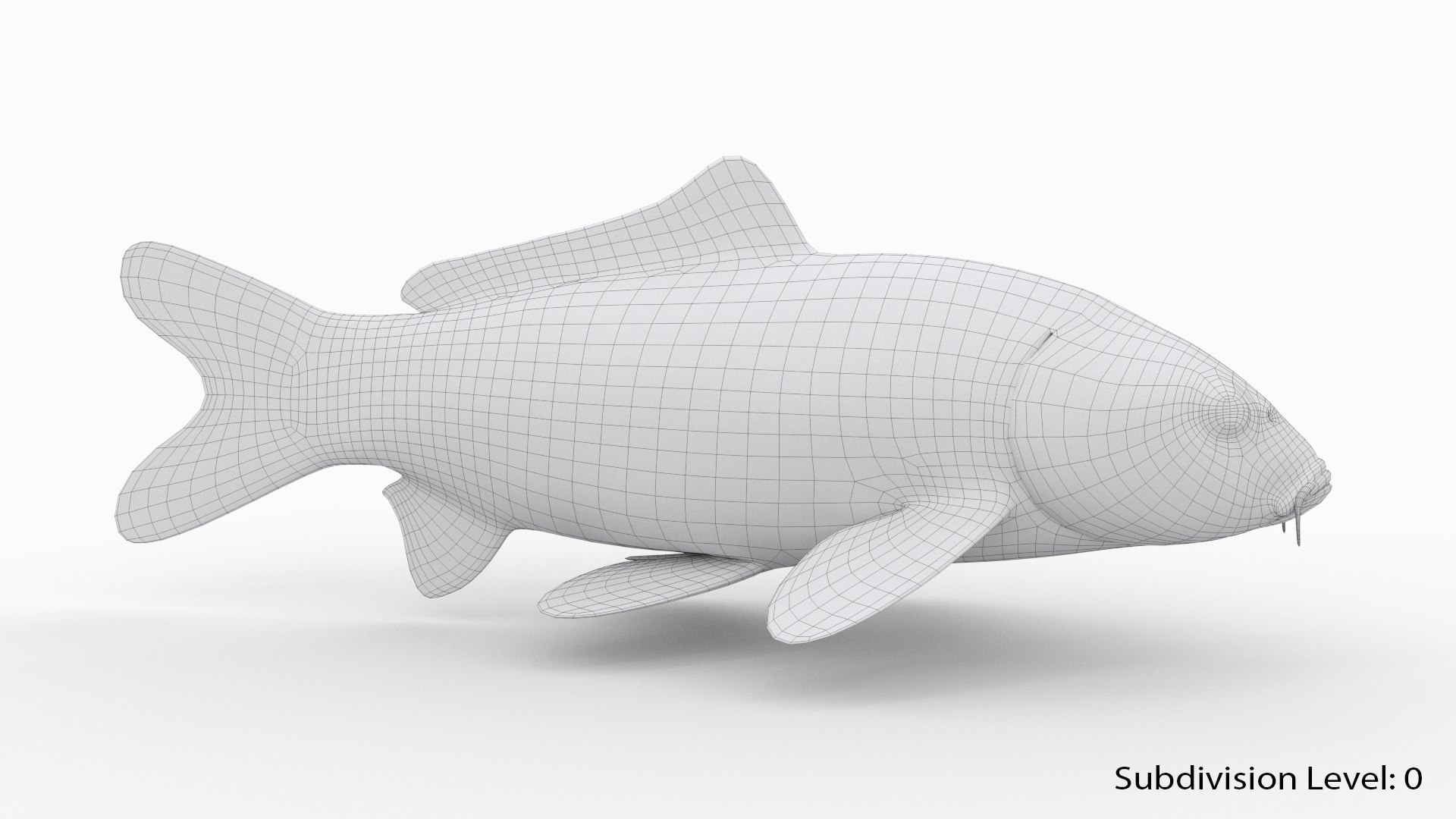 3D Koi Fish 4 Animated - TurboSquid 1932924