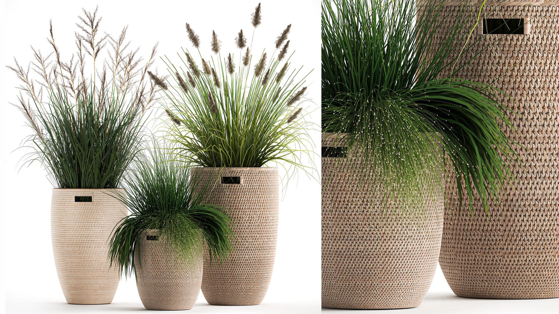 3D Ornamental Reeds Plants In Rattan Baskets 1027 - TurboSquid 1774694
