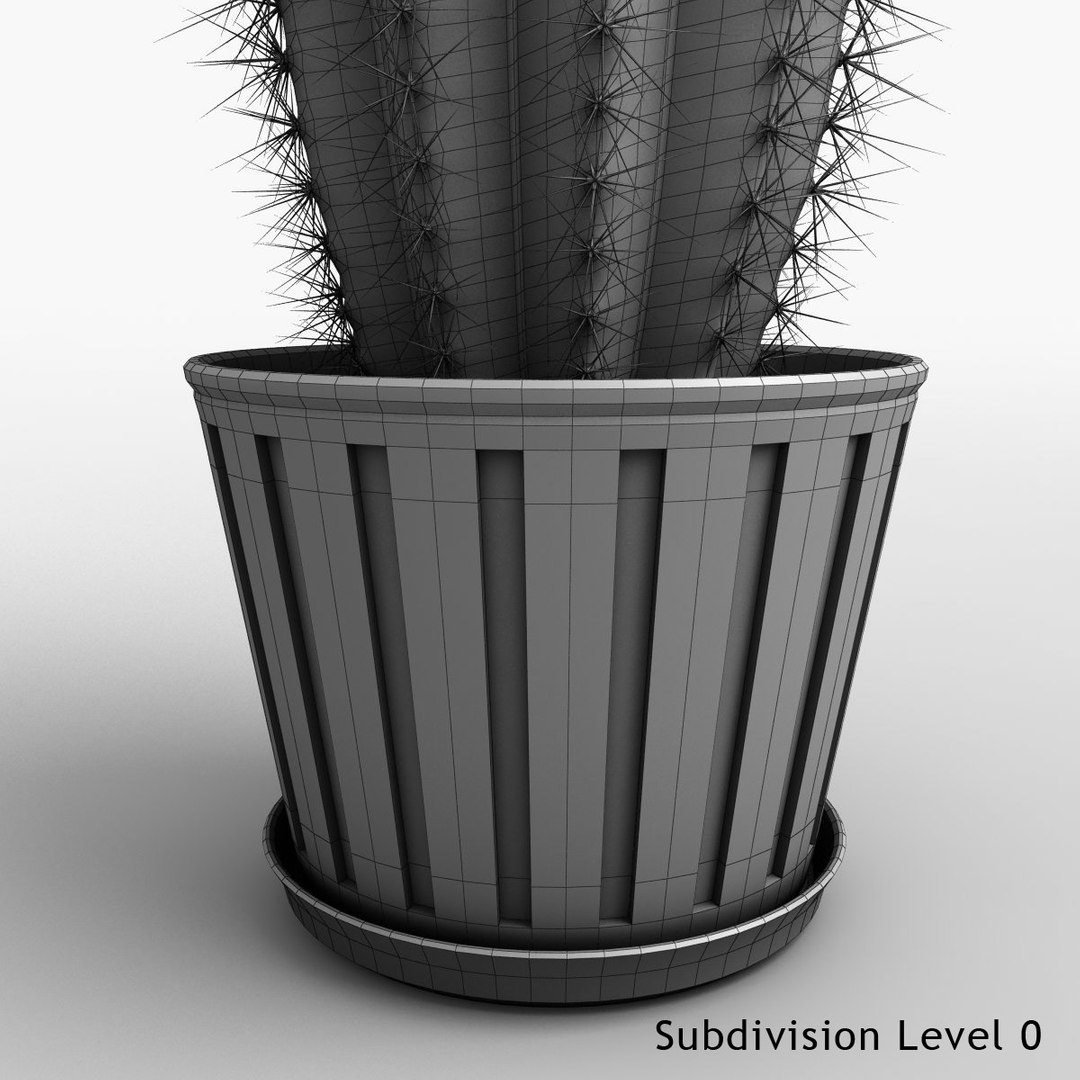 Flowering Cactus 3d Model