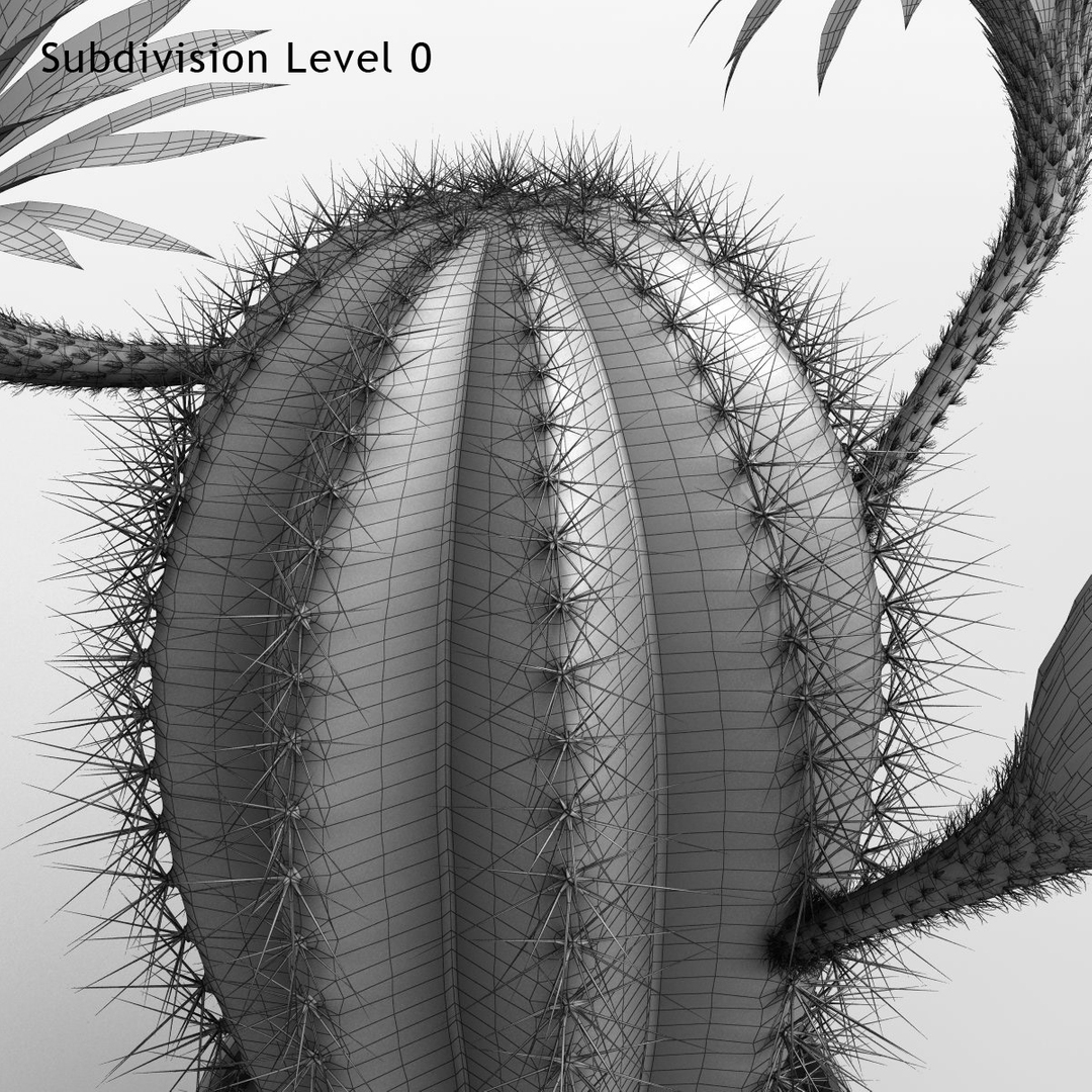 flowering cactus 3d model