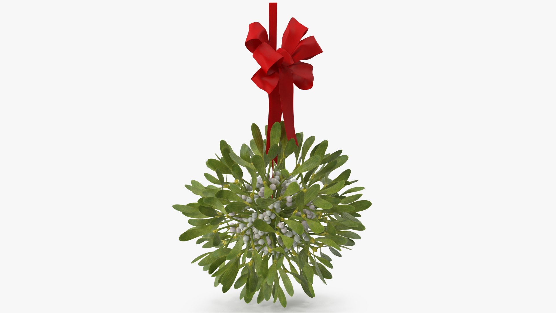 Mistletoe V 2 With Red Bow 3D Model - TurboSquid 1804820