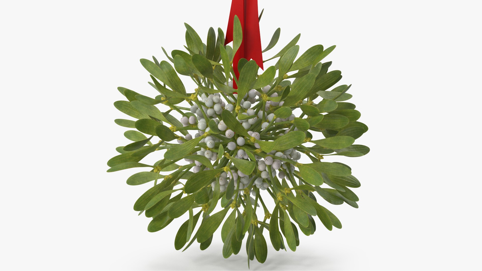 Mistletoe V 2 With Red Bow 3D Model - TurboSquid 1804820