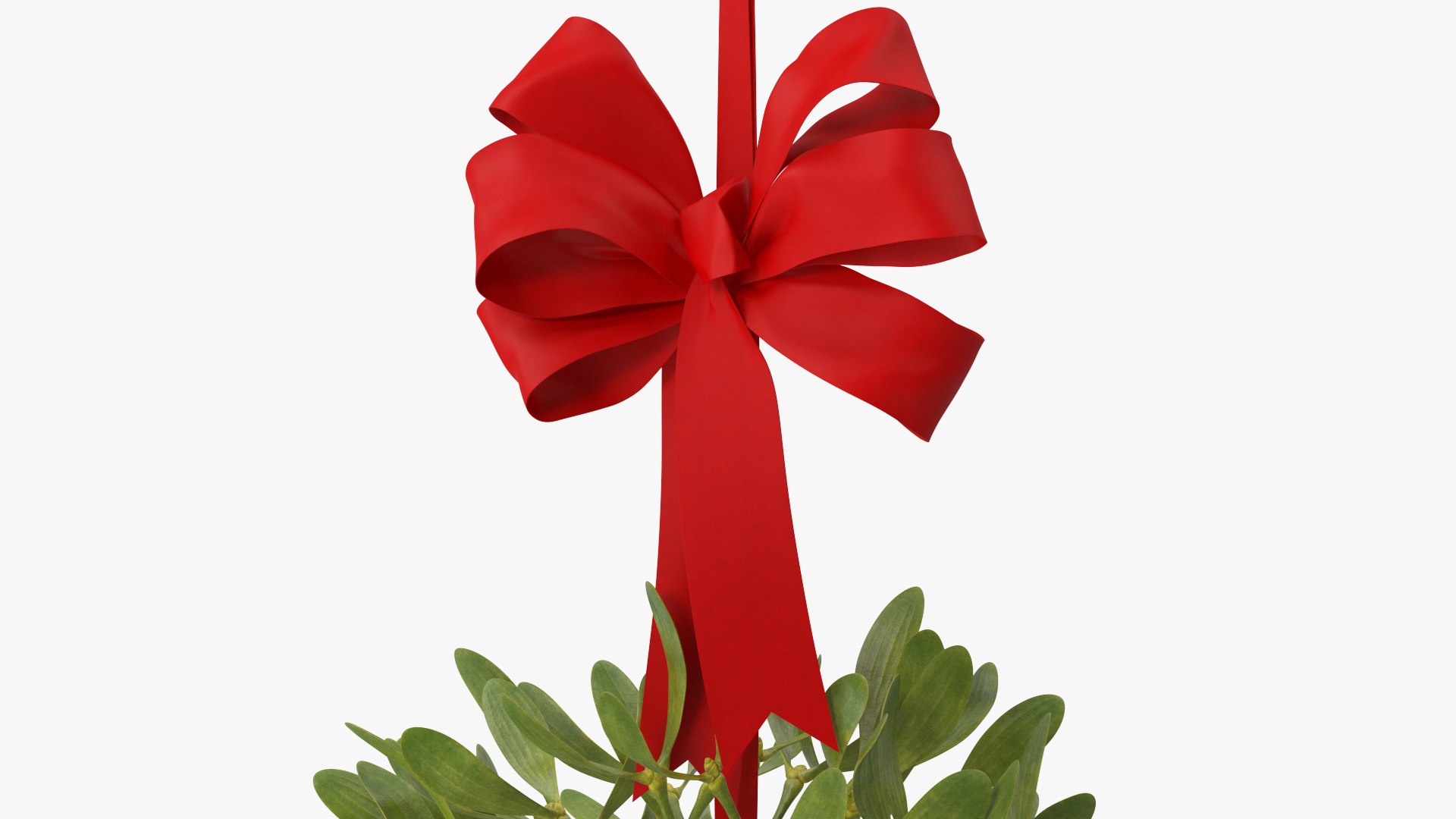 Mistletoe V 2 With Red Bow 3D Model - TurboSquid 1804820