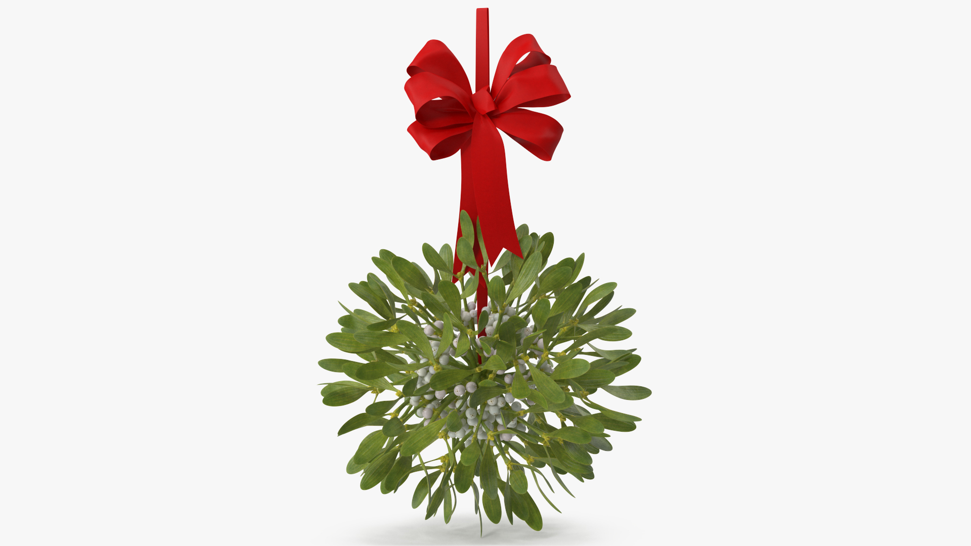 Mistletoe V 2 With Red Bow 3D Model - TurboSquid 1804820
