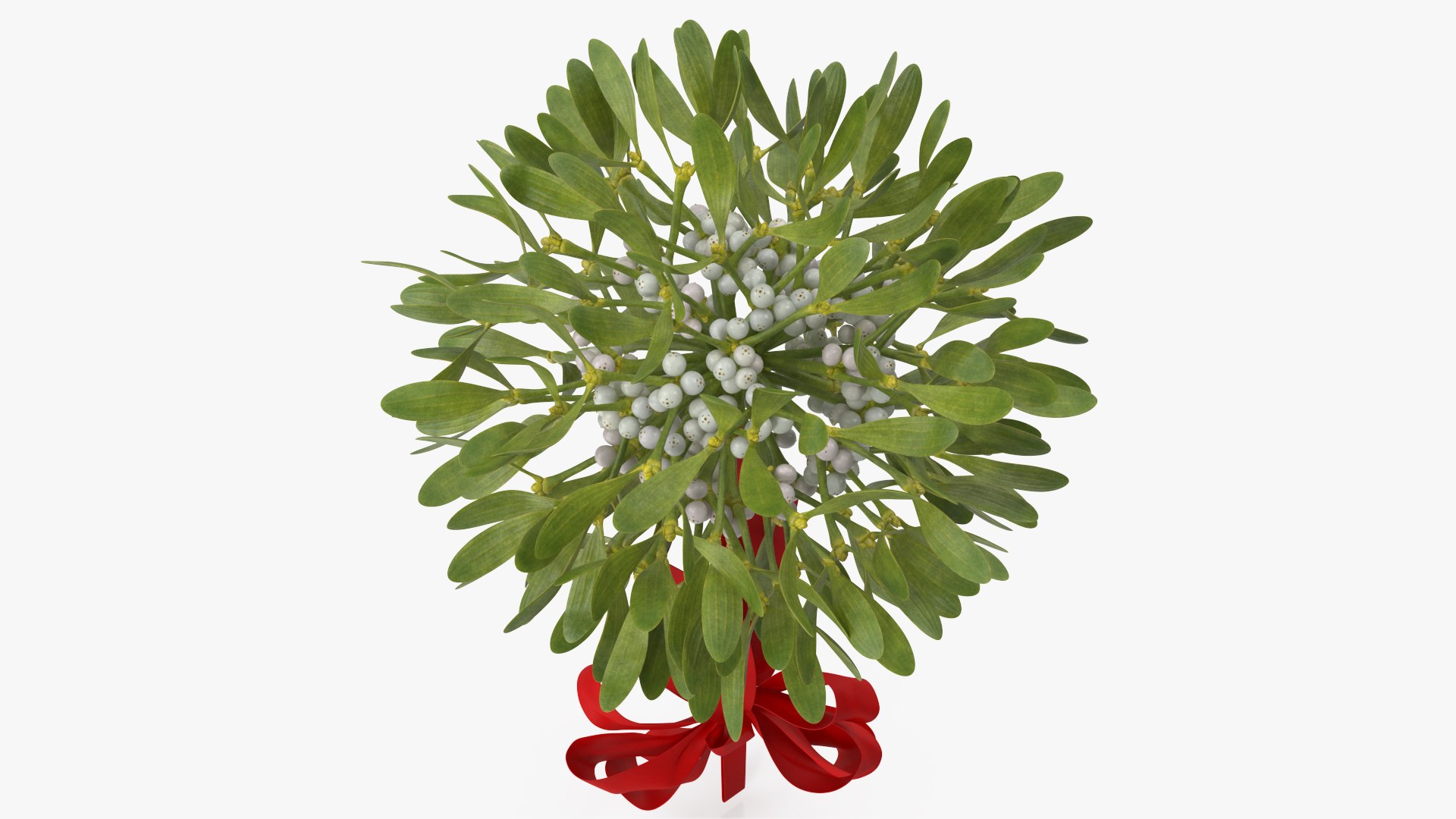 Mistletoe V 2 With Red Bow 3D Model - TurboSquid 1804820