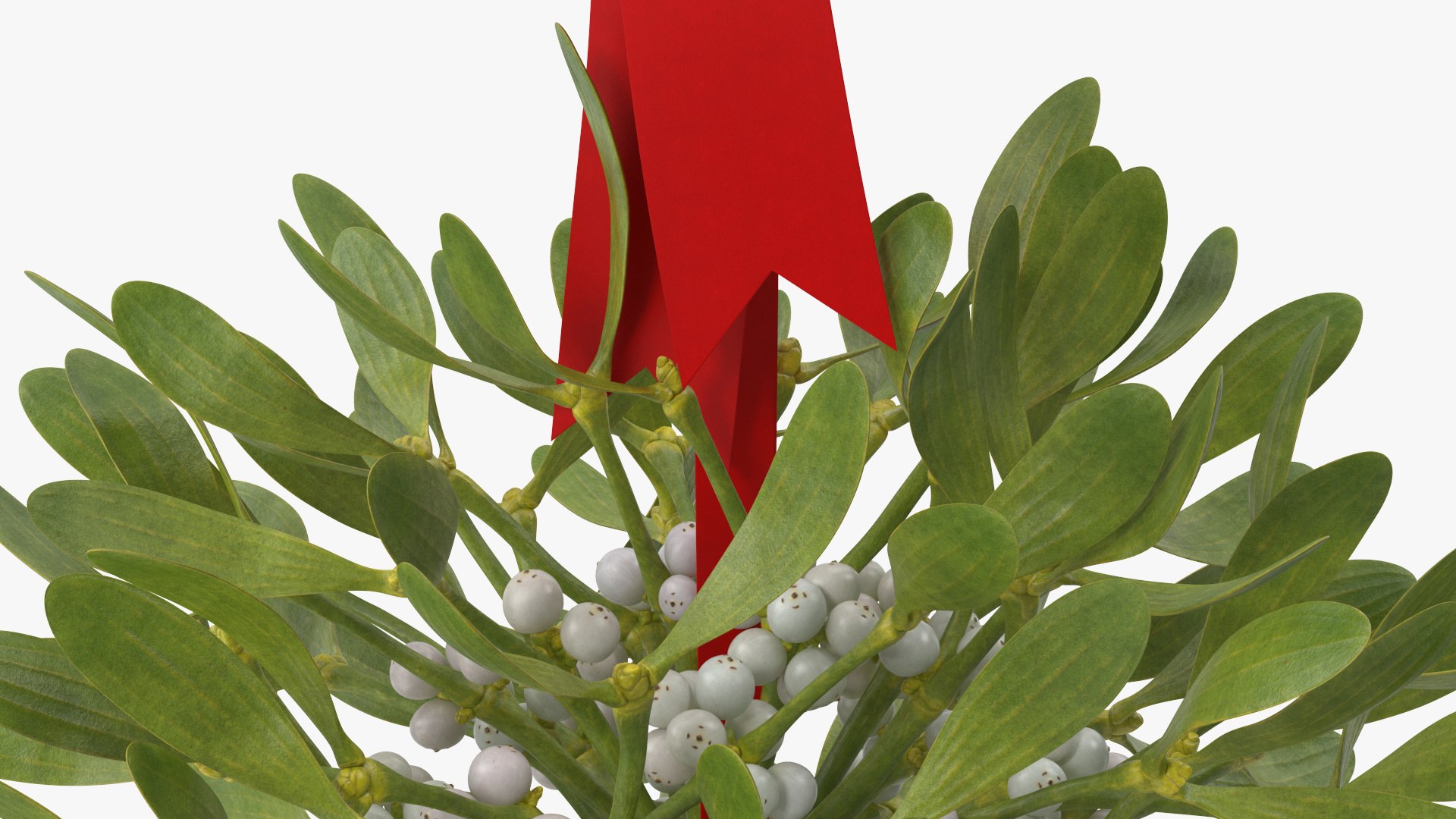 Mistletoe V 2 With Red Bow 3D Model - TurboSquid 1804820