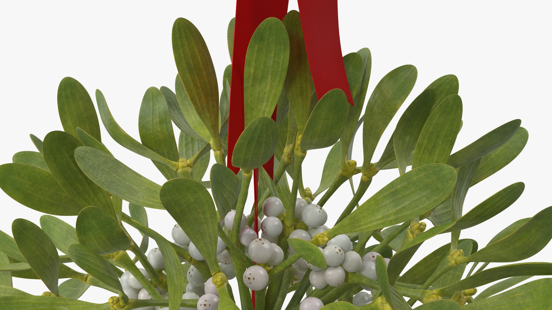 Mistletoe V 2 With Red Bow 3D Model - TurboSquid 1804820