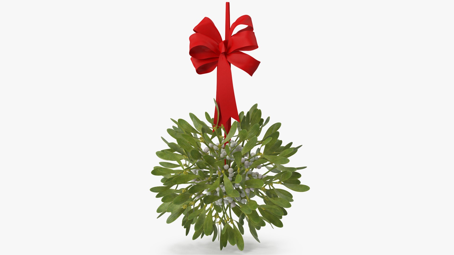 Mistletoe V 2 With Red Bow 3D Model - TurboSquid 1804820