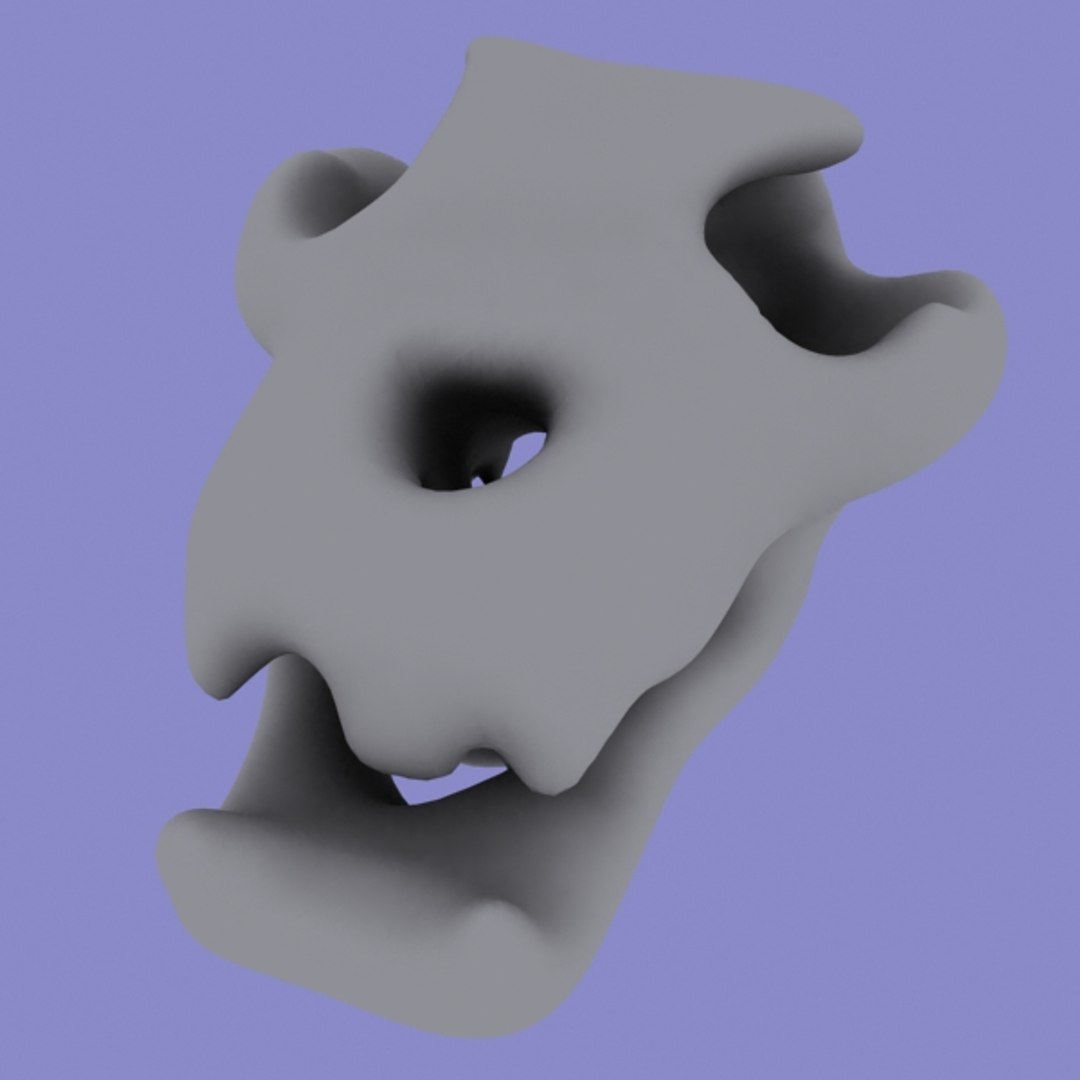 Reptile Skull 3d Model