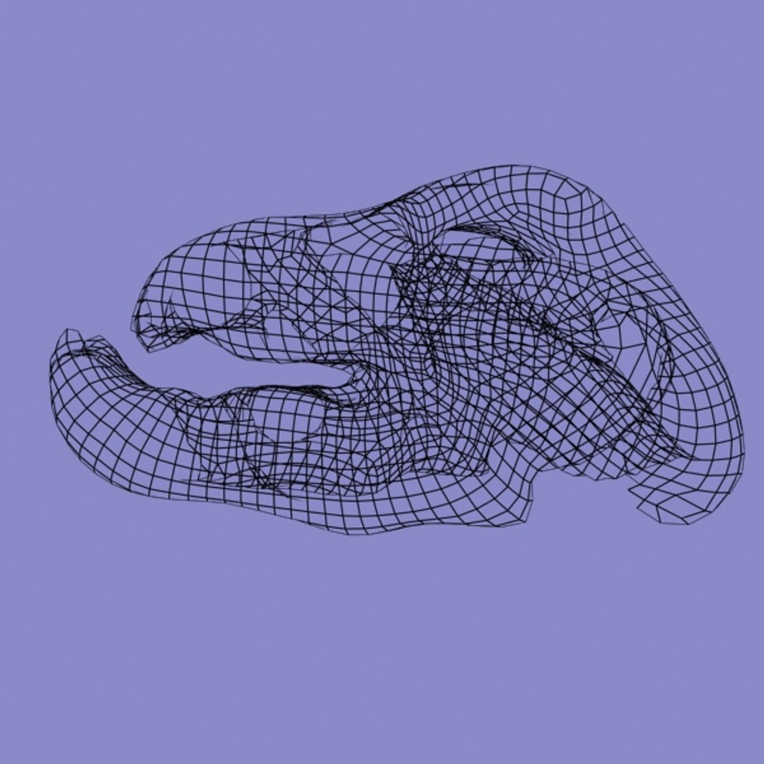 Reptile Skull 3d Model
