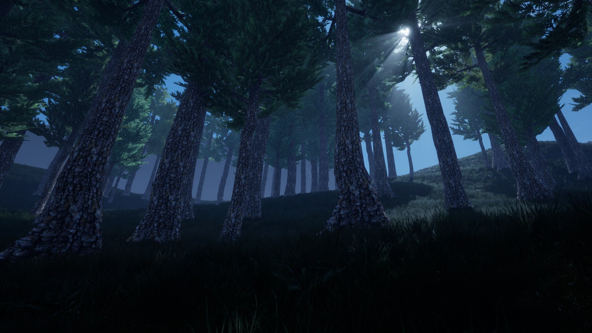 Pack Trees Conifer Model - TurboSquid 1306535