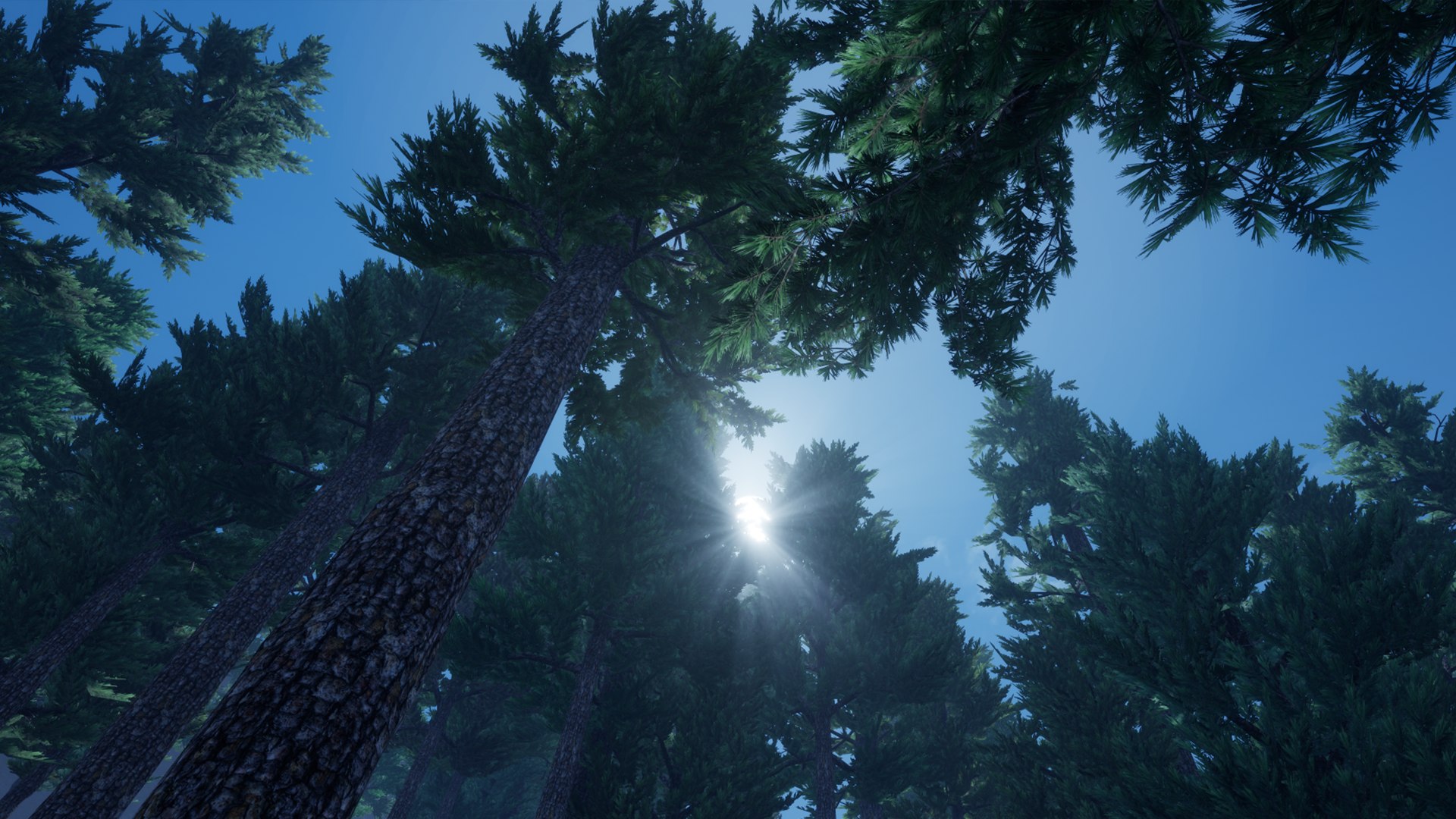 Pack Trees Conifer Model - TurboSquid 1306535