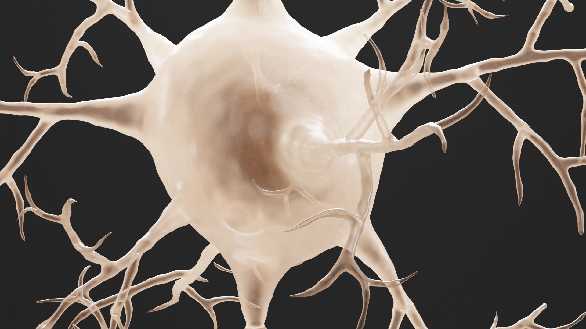 Neurons model - TurboSquid 2175666