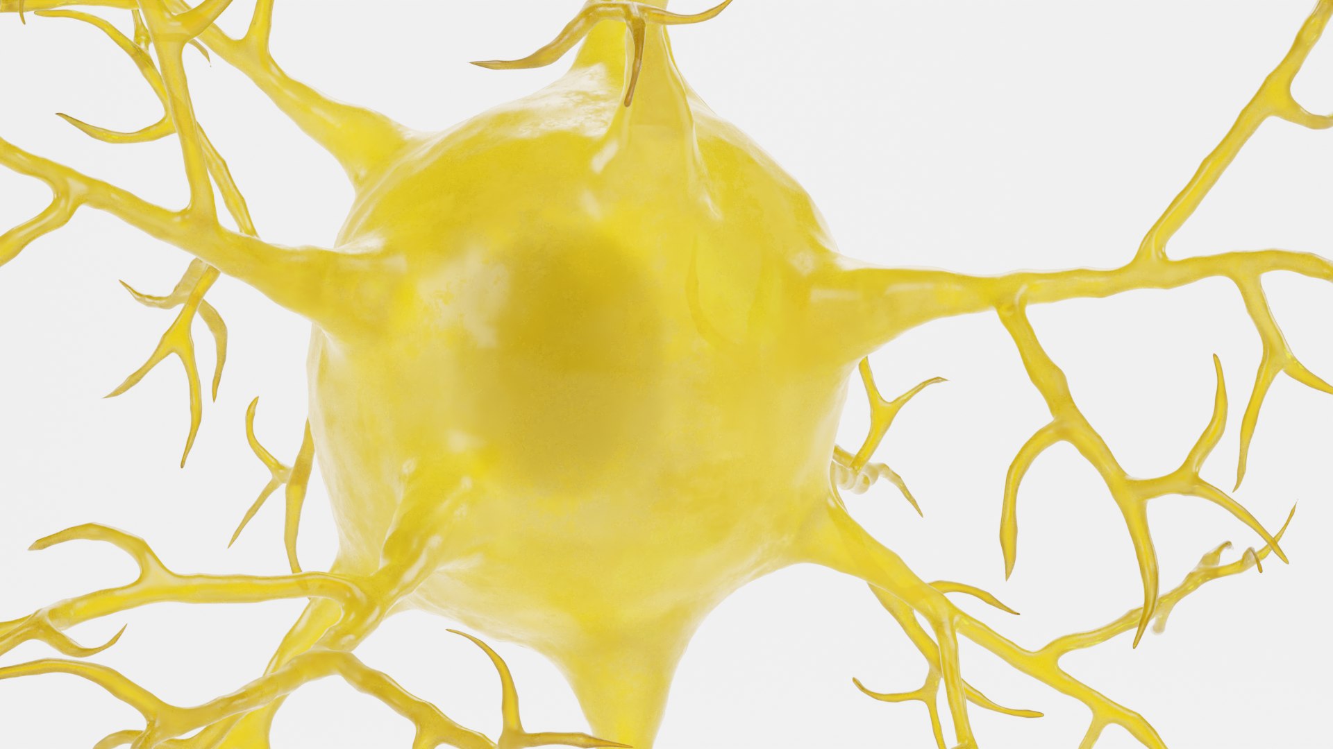 Neurons Model - TurboSquid 2175666