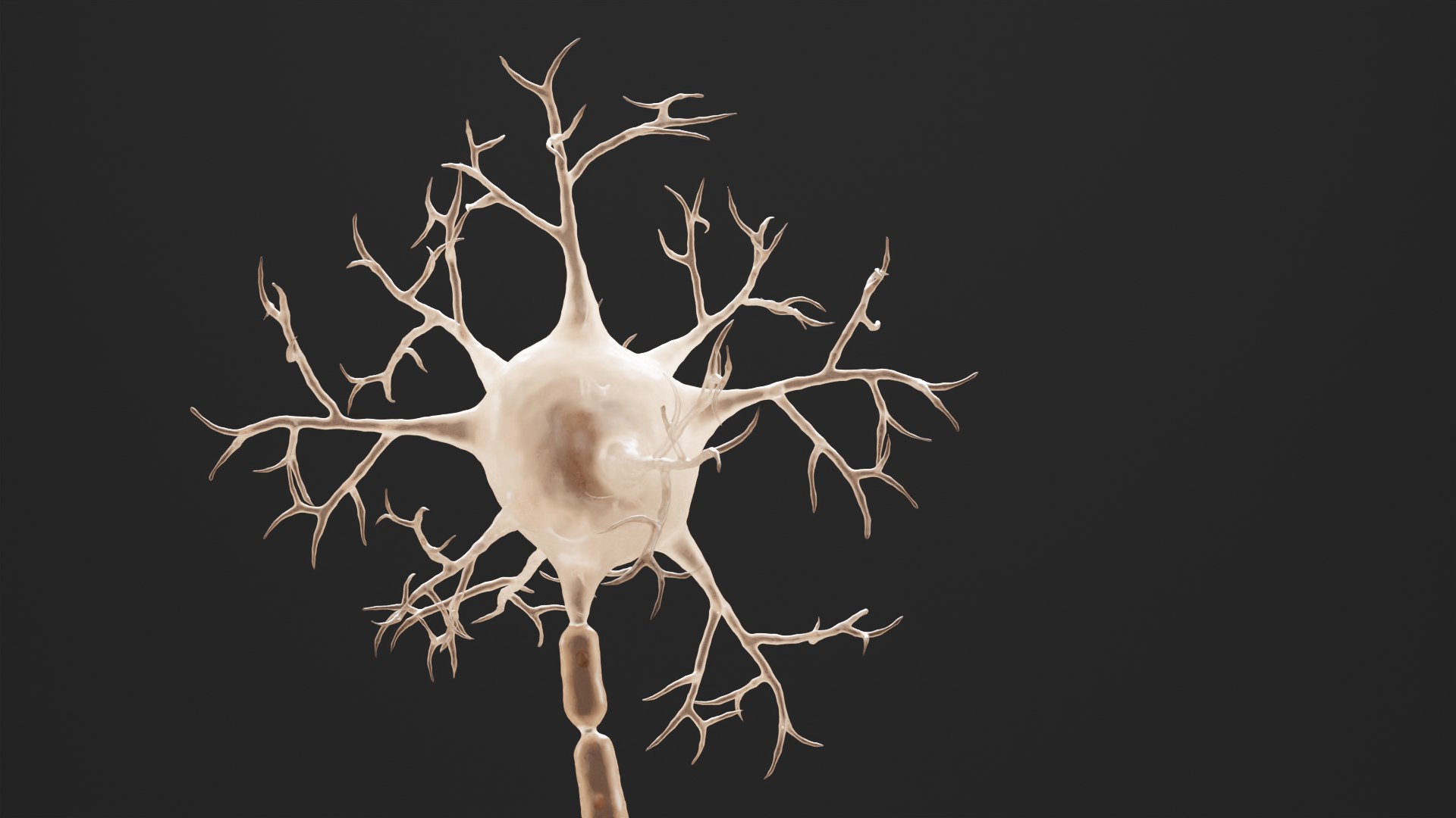 Neurons Model - TurboSquid 2175666