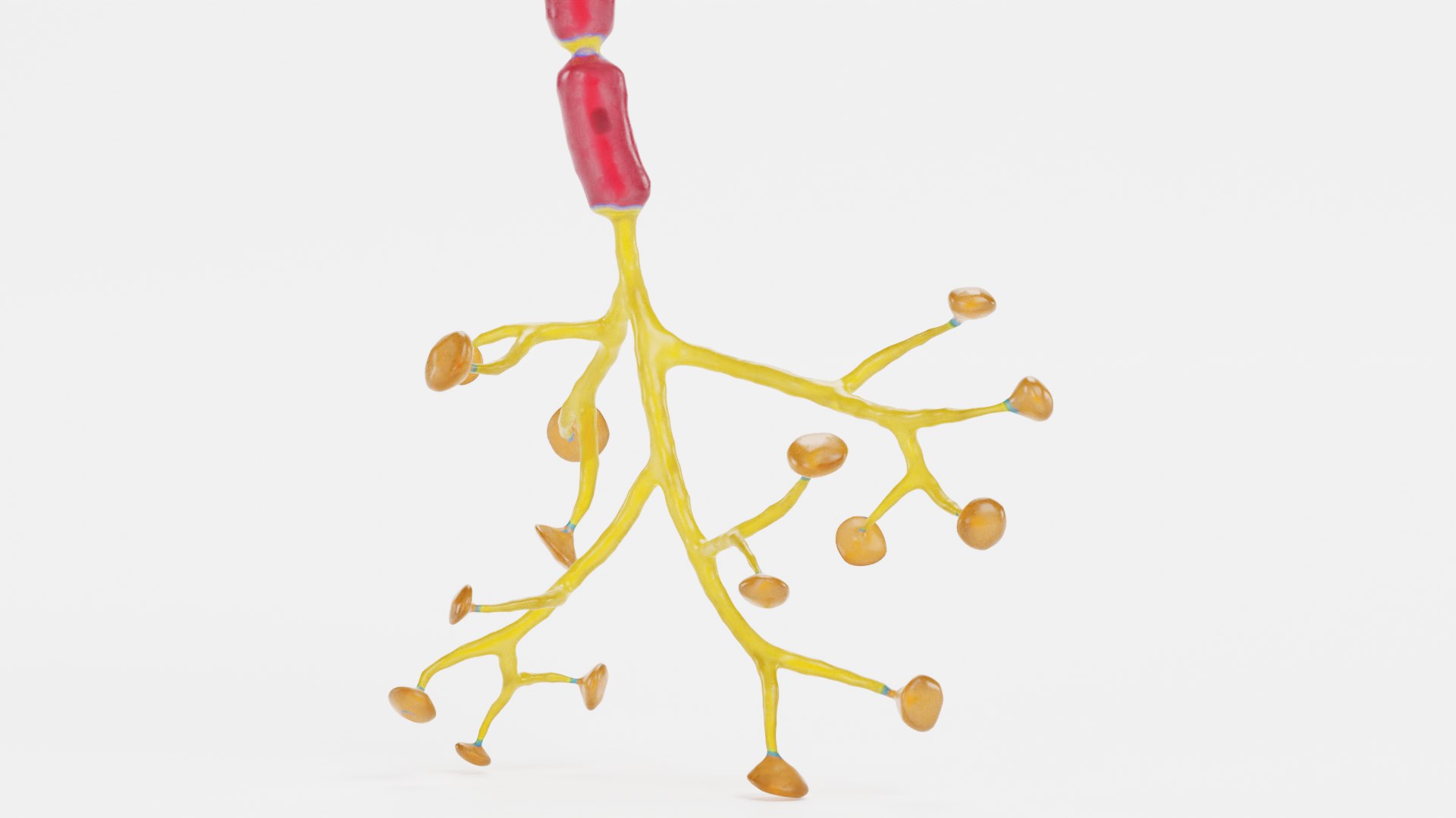 Neurons model - TurboSquid 2175666