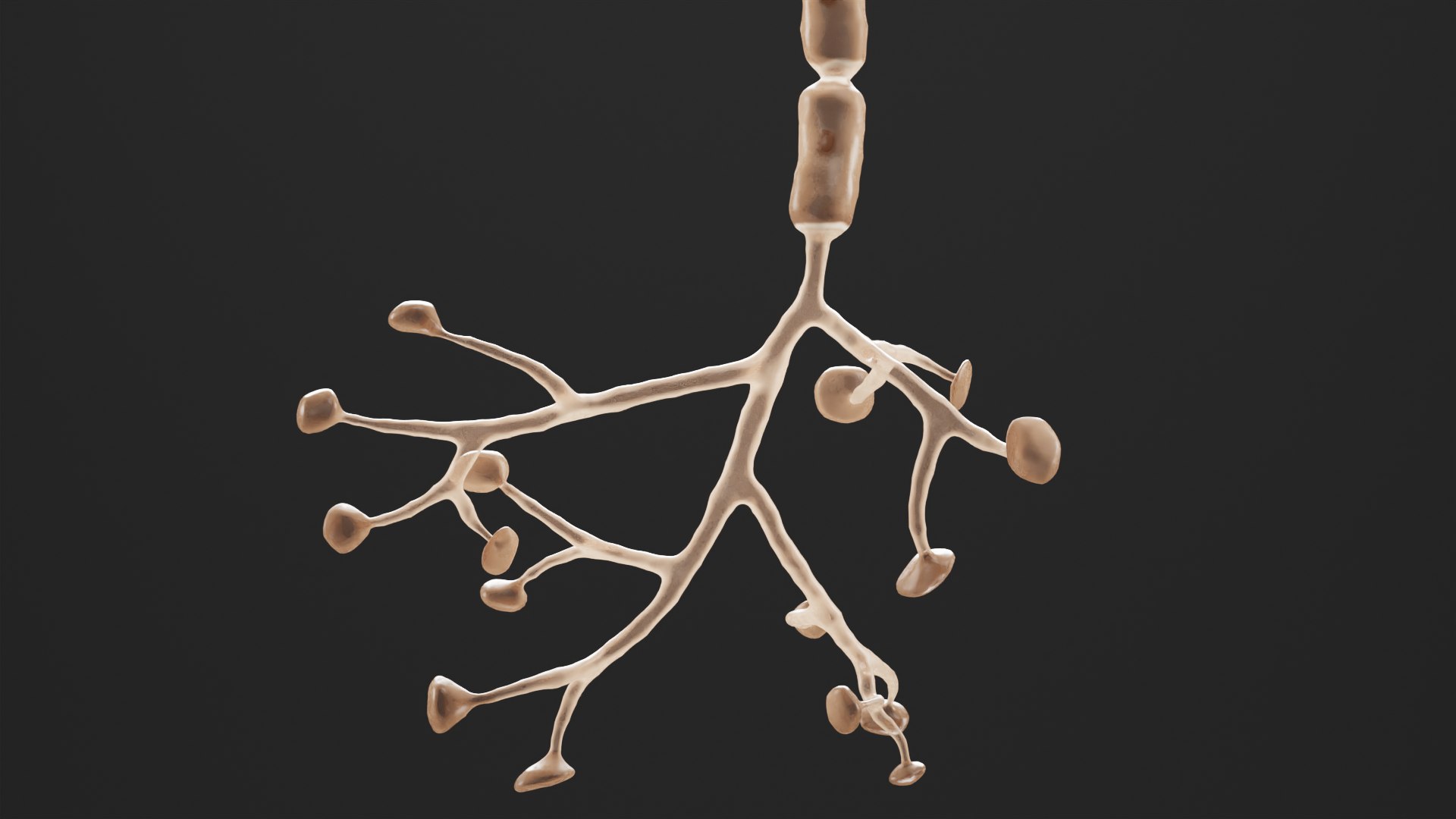 Neurons Model - TurboSquid 2175666