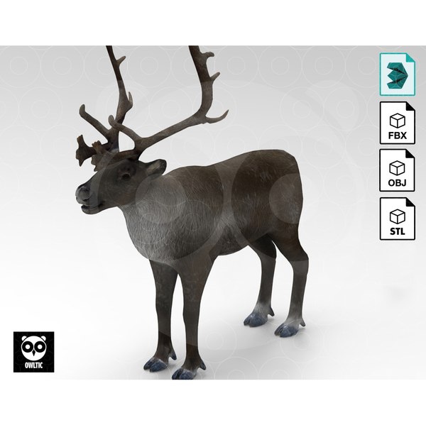 modelo 3d Reno - TurboSquid 2110044