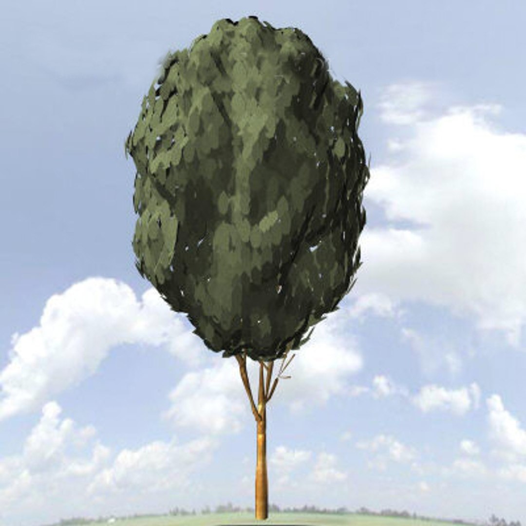 3ds Max Tree Architectural Visuals