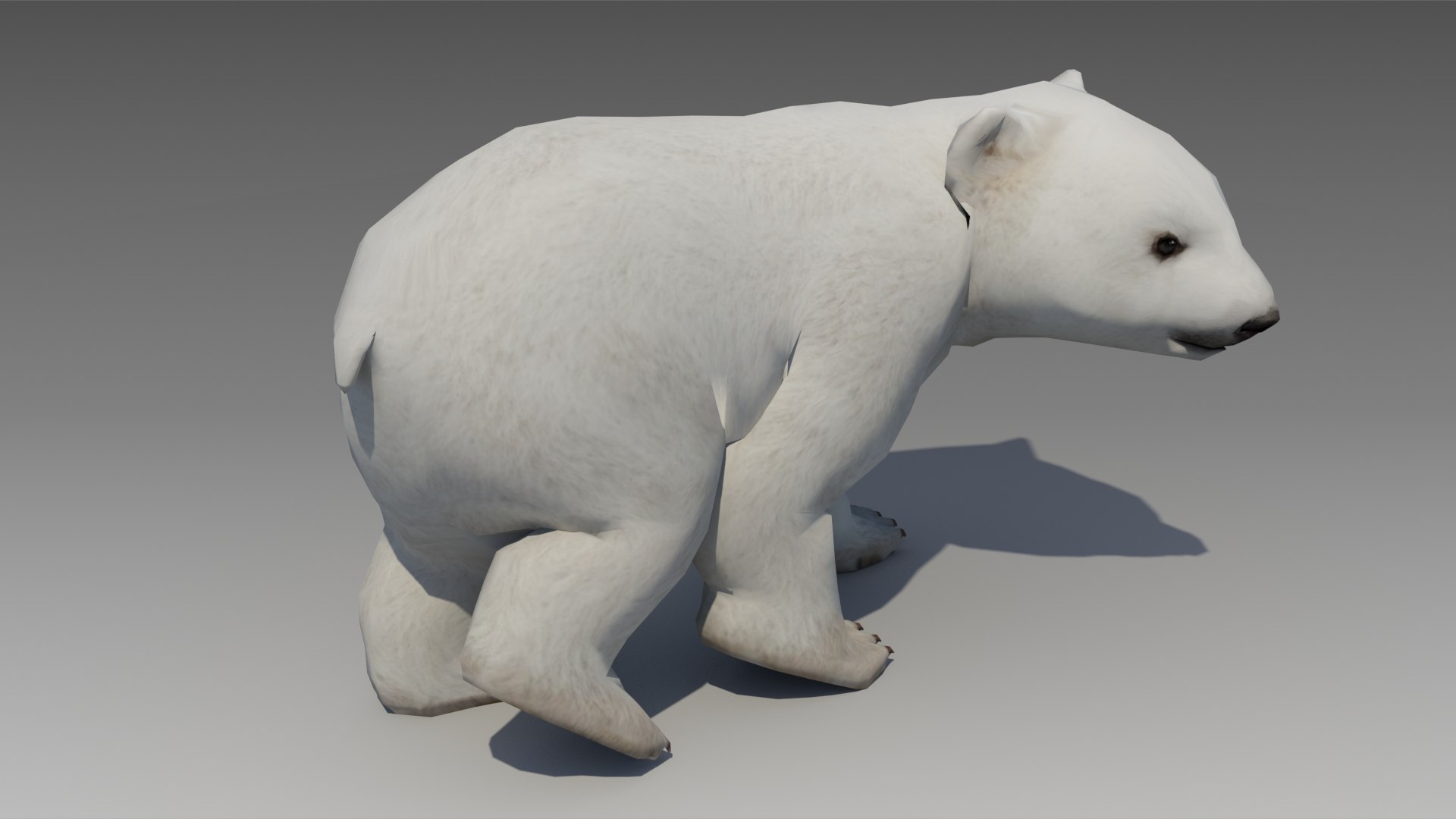 Polar Bear 3D - TurboSquid 1150994