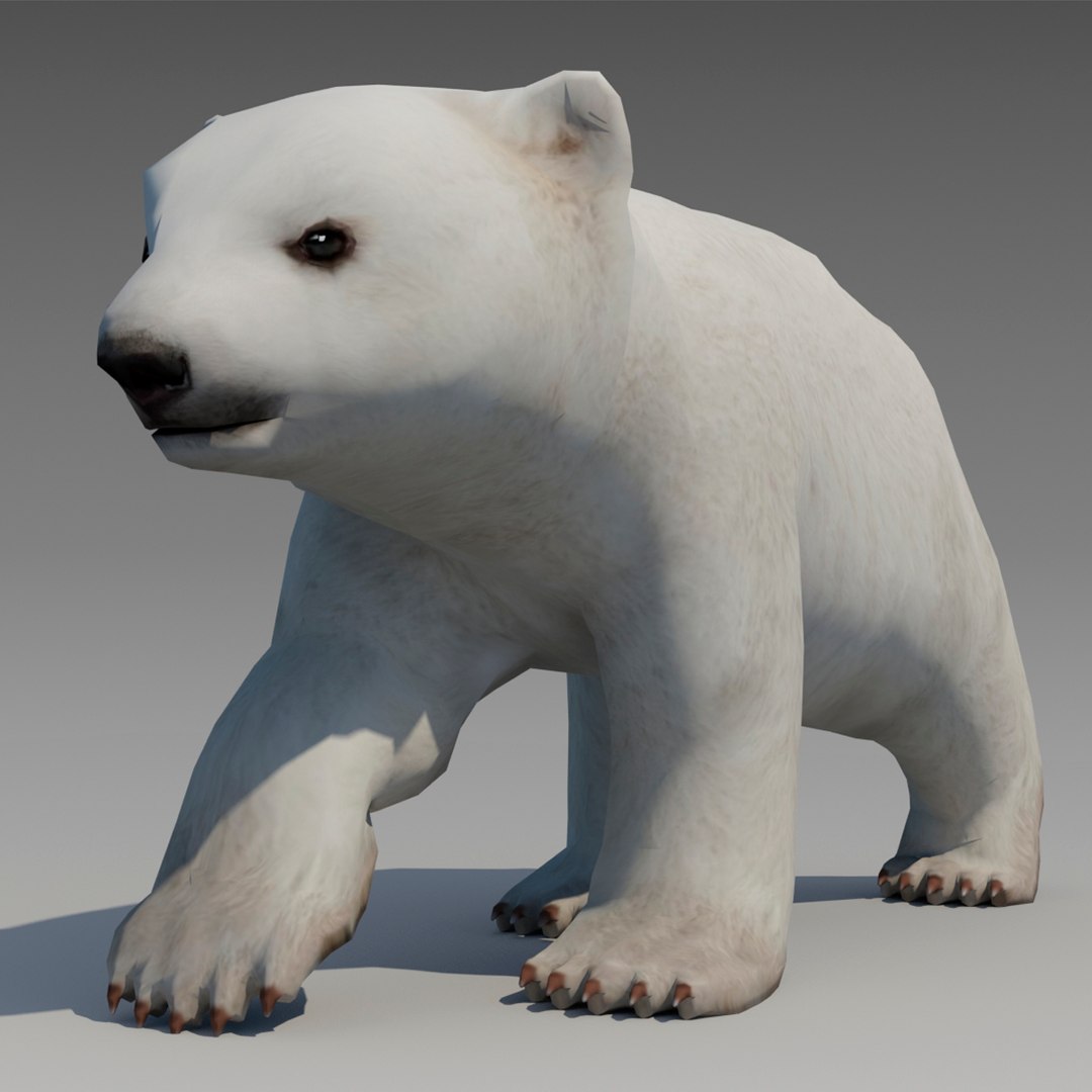 Polar Bear 3D - TurboSquid 1150994